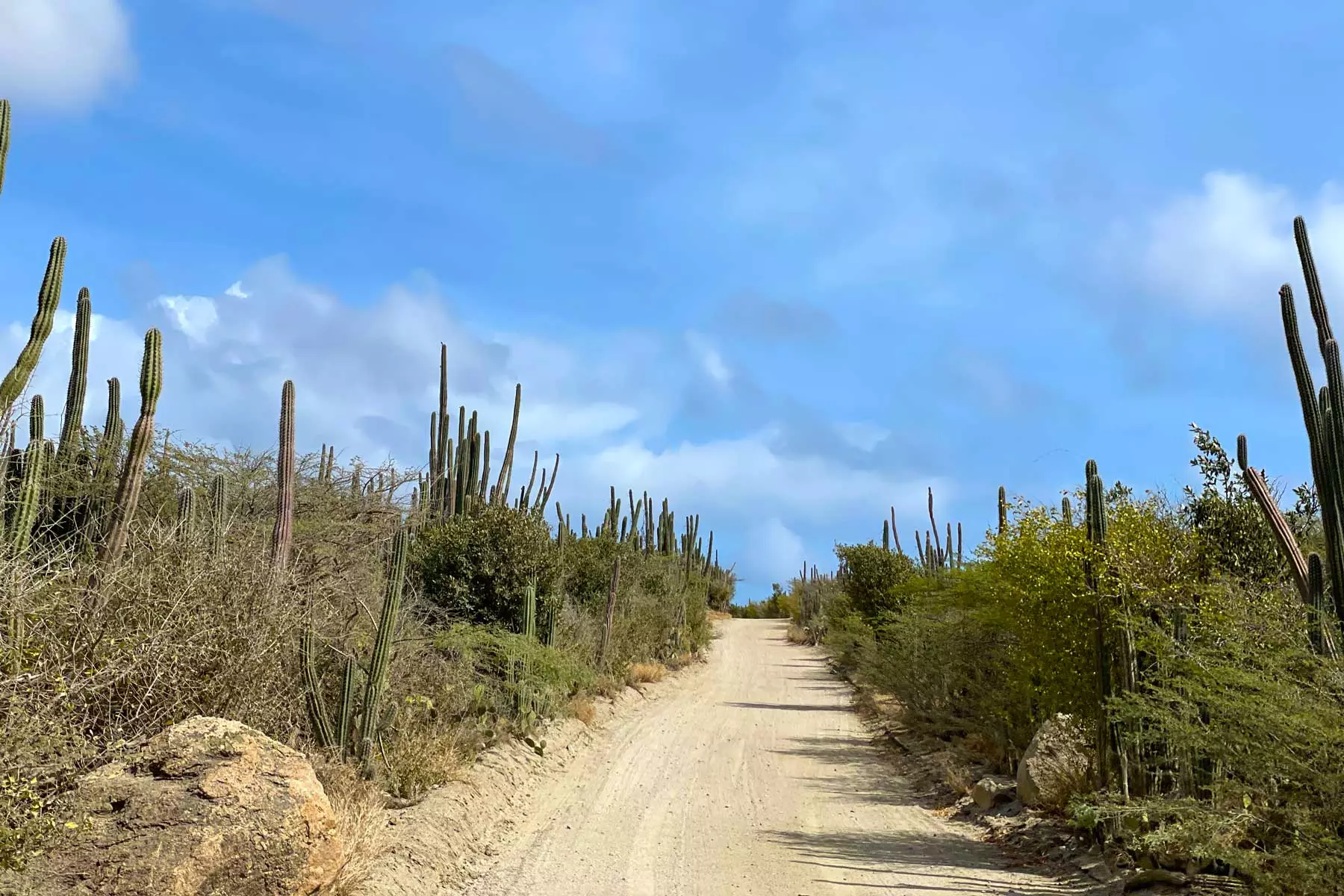 Nindot nga talan-awon sa Aruba