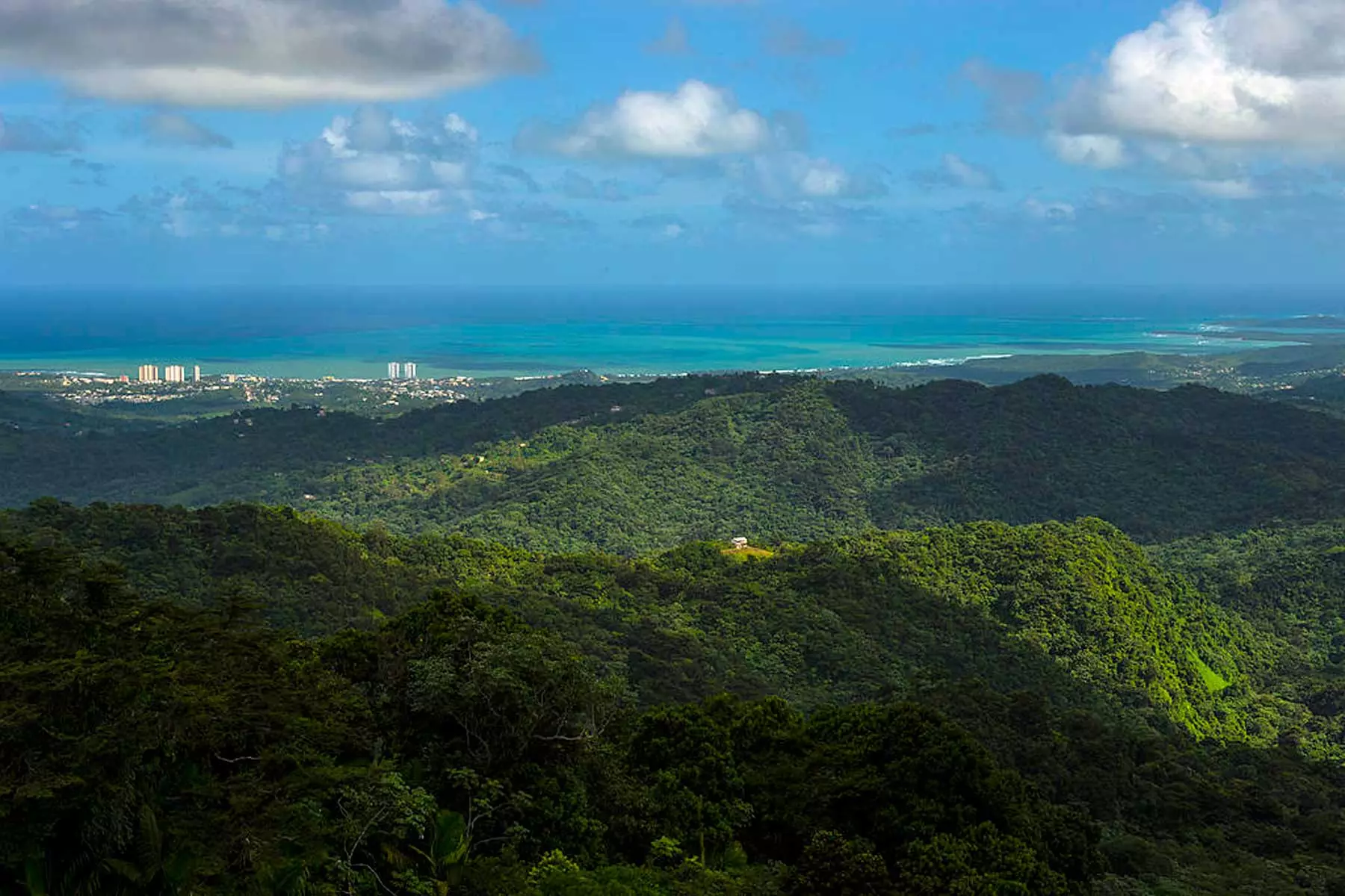 Uzaqda 4 dekabr 2012-ci ildə Rio Grande, PR-da El Yunque Milli Meşəsində müşahidə qülləsindən görünən dənizkənarı Luquillo şəhəri göstərilir.