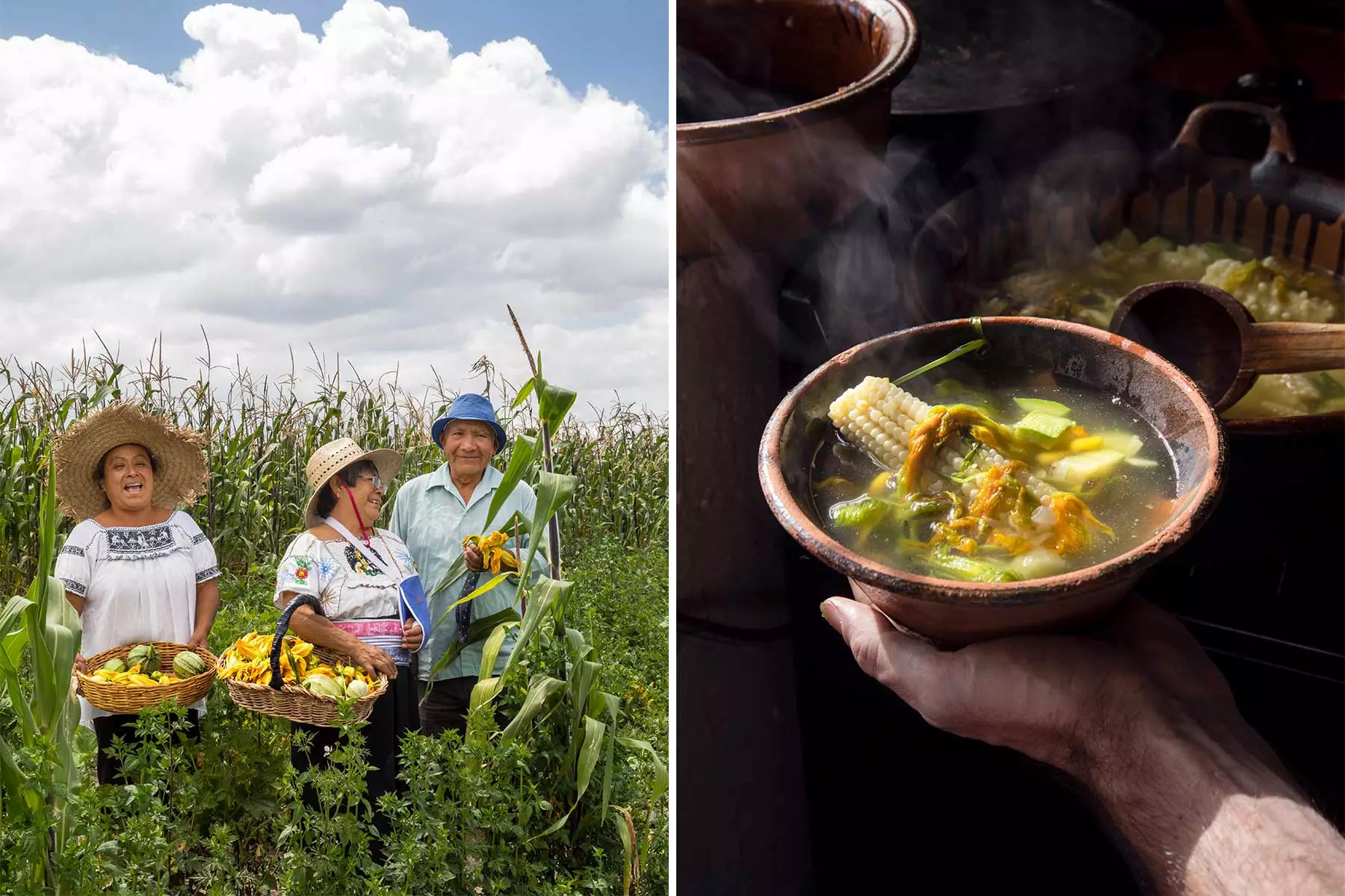 兩張照片，一張是 Baltazar 一家在採摘南瓜花，一張是用採摘的食材製成的湯