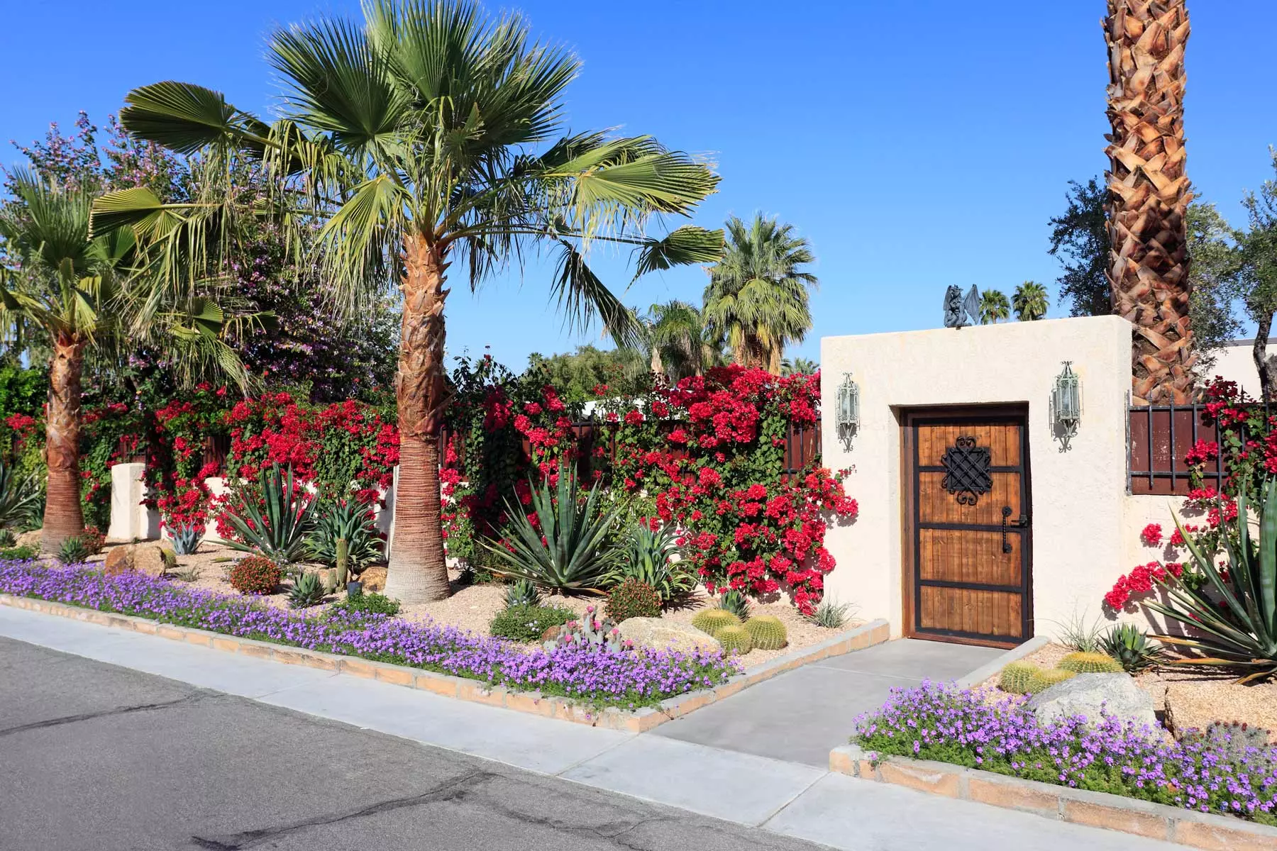 Jardin floral du désert californien dans une maison