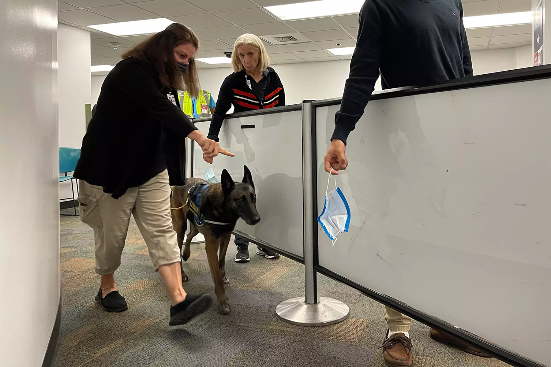 Ang COVID-19 K9 nga programa sa Miami International Airport