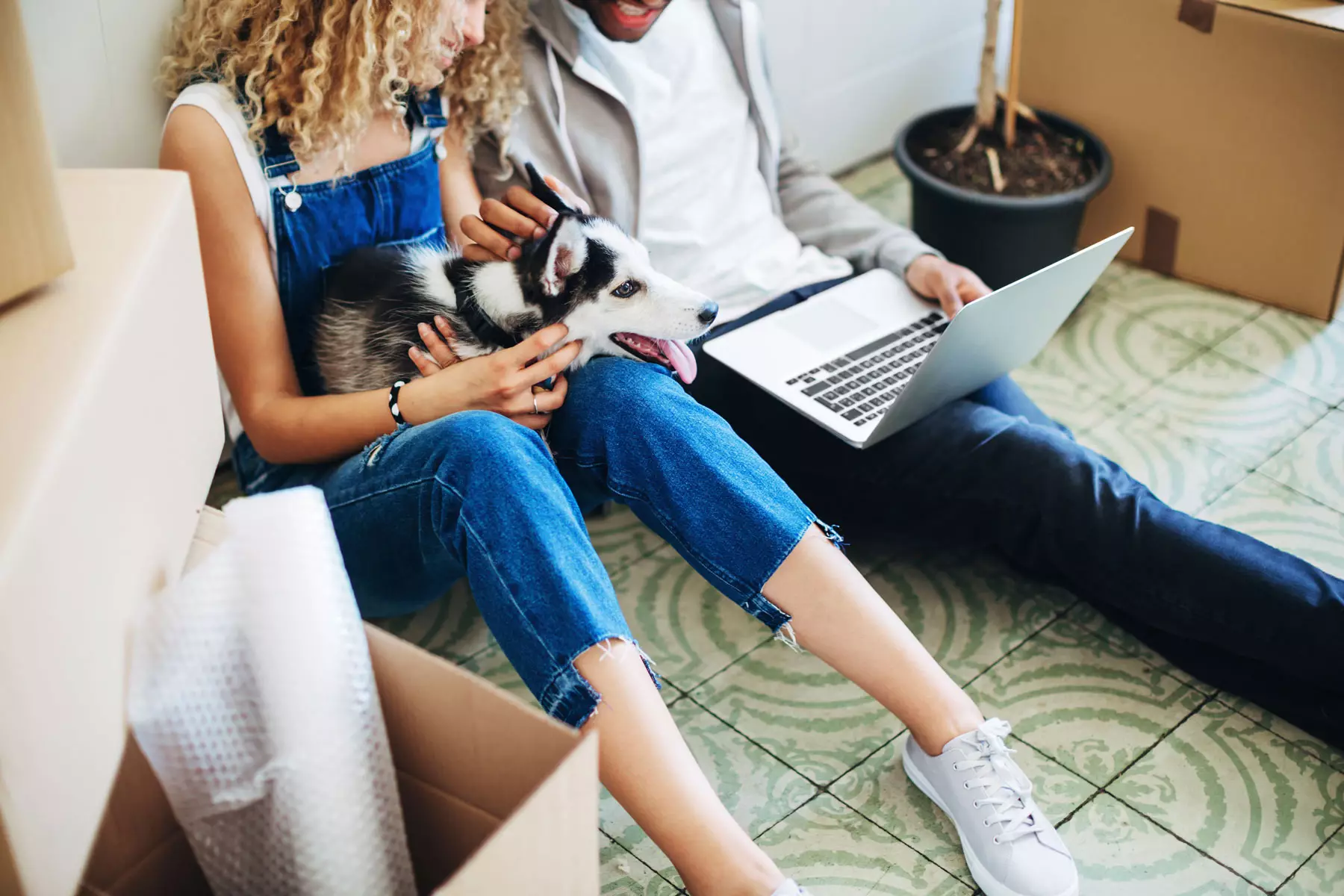 casal com cachorro usando laptop em casa nova