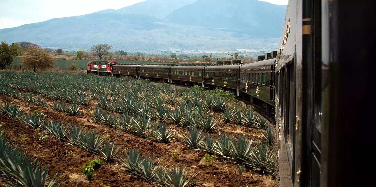Você pode pegar um trem de tequila para a cidade mais mágica do México