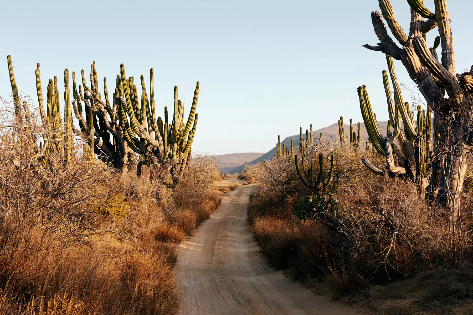Шлях і пустынны пейзаж Тодос Сантас