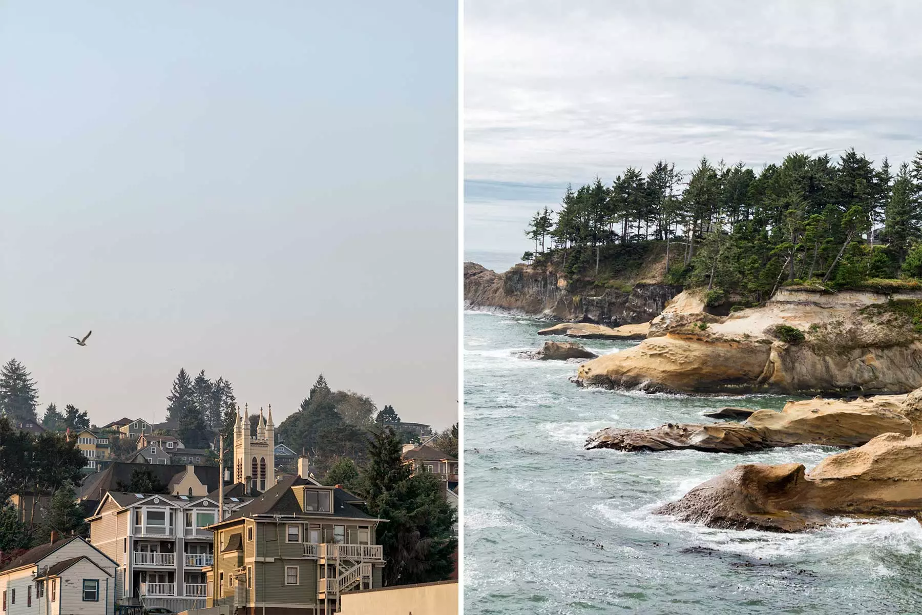 Cenas da costa do Oregon, incluindo um pássaro voando sobre as casas em Astoria e a costa rochosa da Baía de Depoe