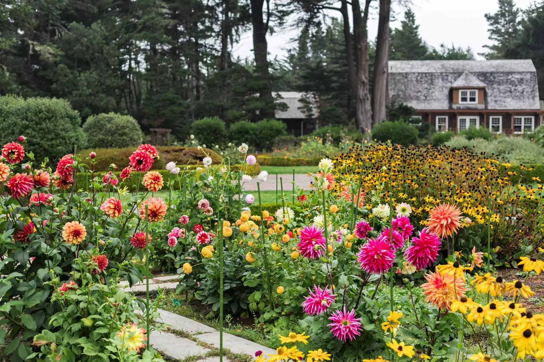 Kembang warna-warni mekar ing Shore Acres Botanical Gardens ing Oregon