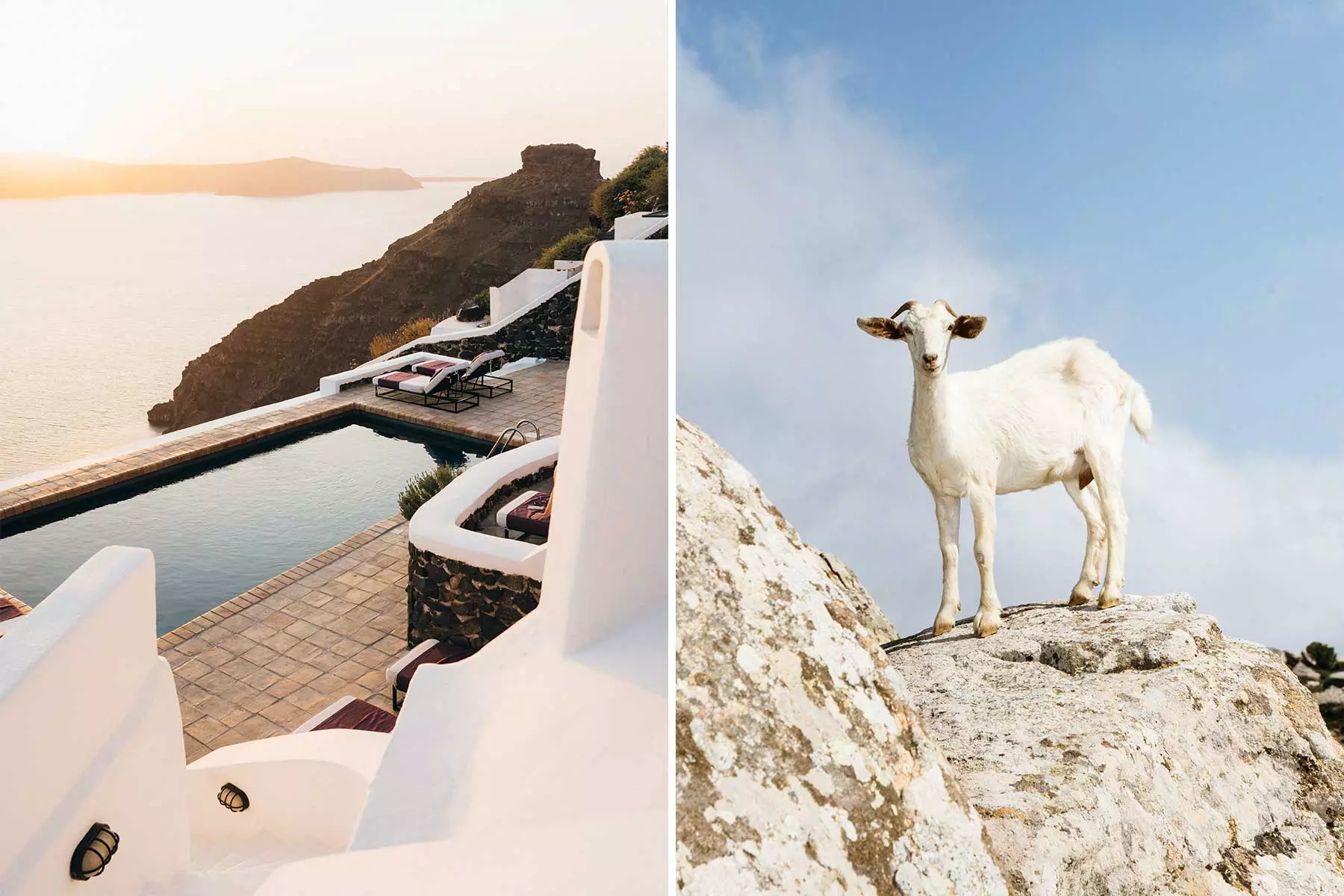 Пар фотографии кои покажуваат поглед на зајдисонцето на хотелот Василикос и коза на островот Тинос