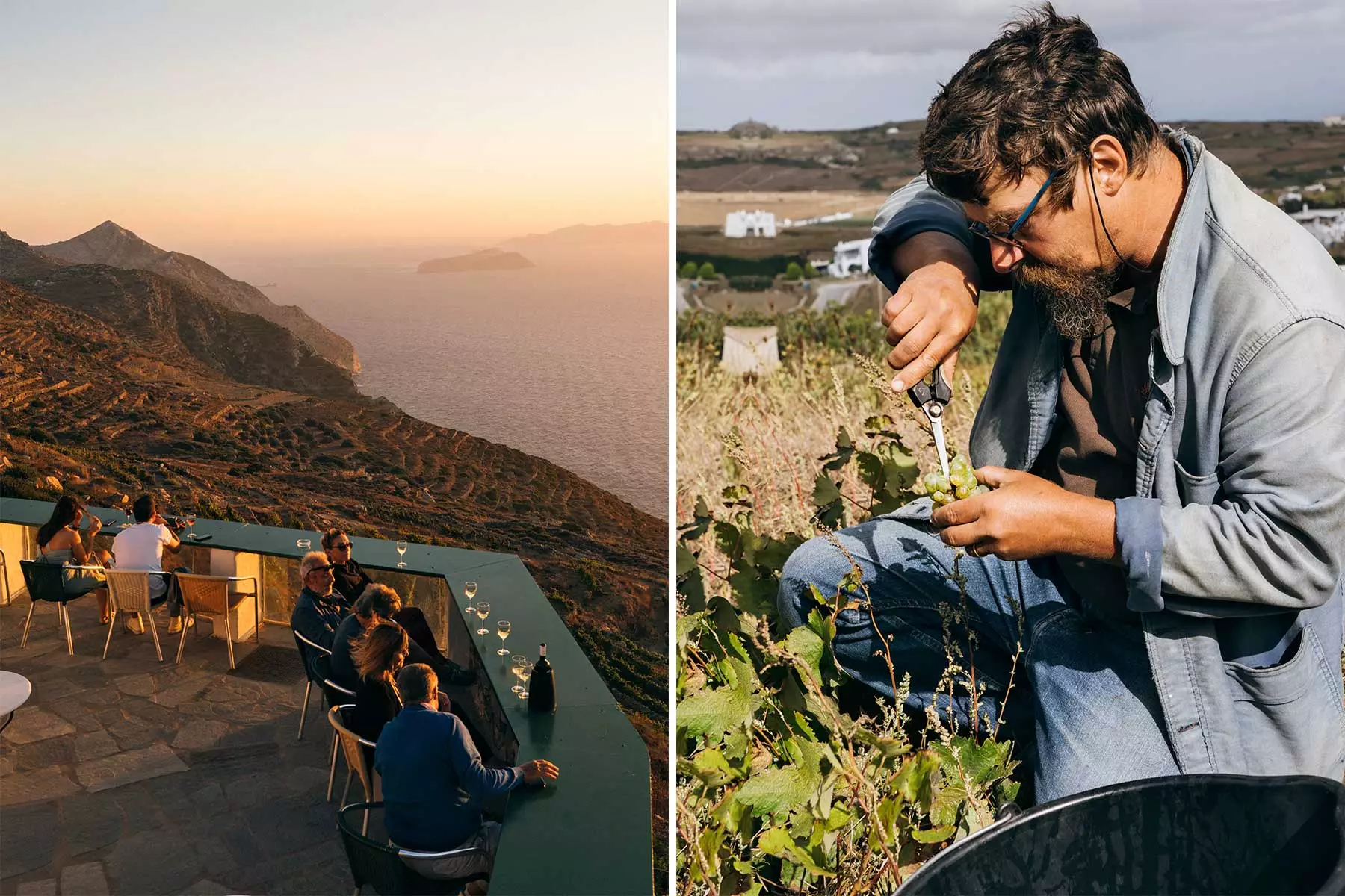Et par bilder som viser gjester på en terrasse på Manalis Winery, og Kalathas Winery-eier Jerome Binda som inspiserer druer