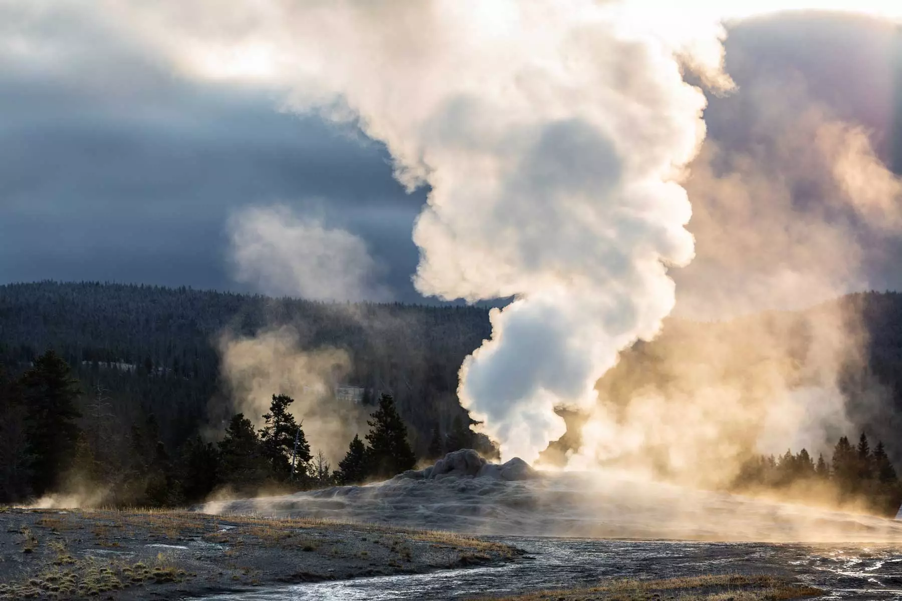 Old Faithful, Yellowstone che esplode fumo caldo prima dell'eruzione al mattino.