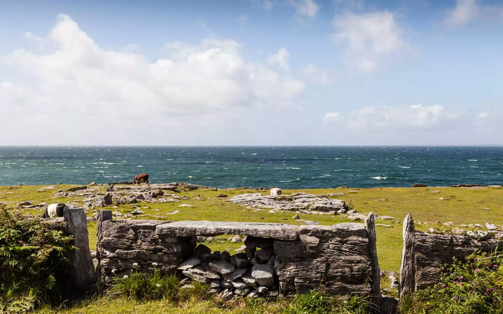 Vacanza conveniente in Irlanda occidentale