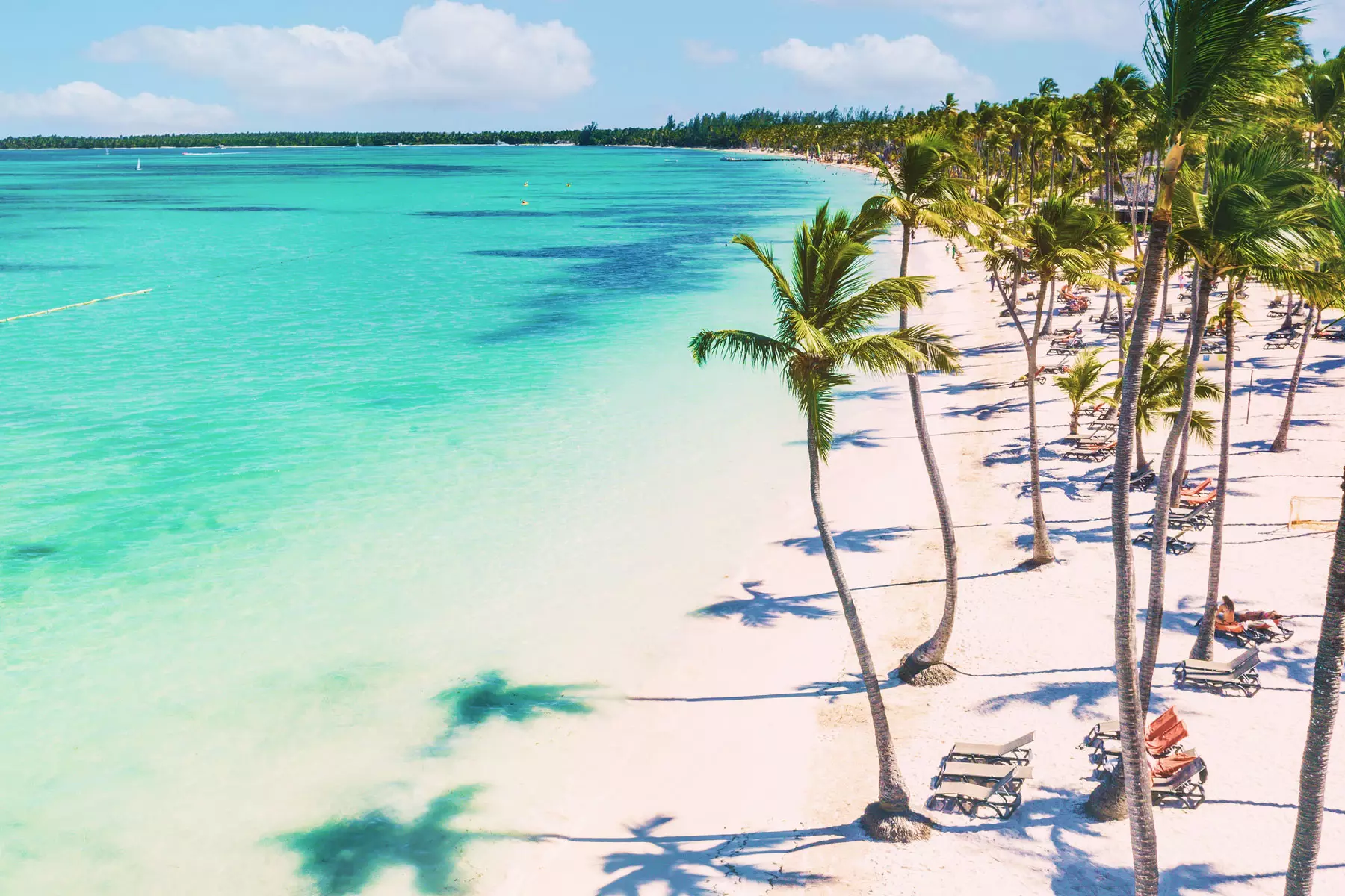 Bavaro၊ Punta Cana၊ Dominican Republic ရှိ လှပသော ကာရေဘီယံကမ်းခြေကို ဝေဟင်မှ မြင်ကွင်း