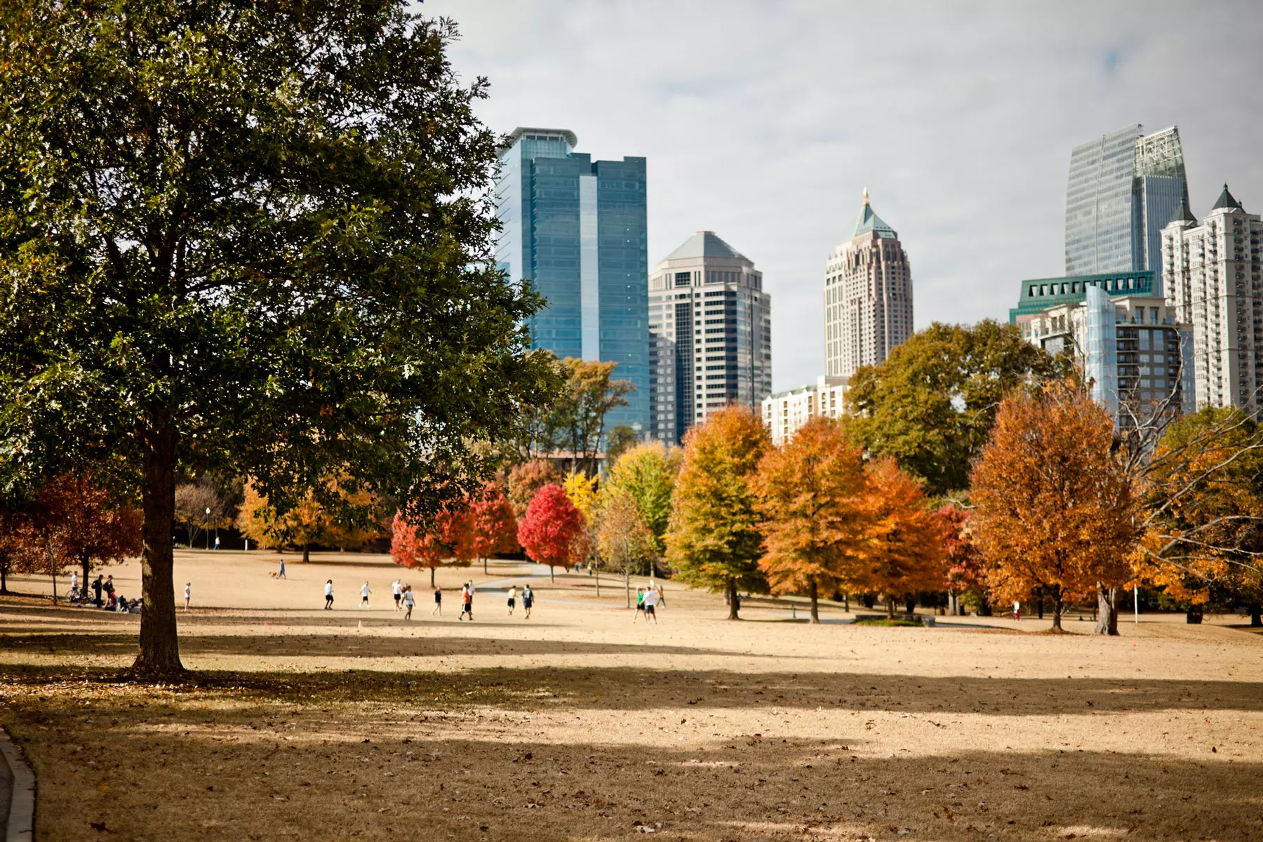 Atlanta urbosilueto de Piemonta parko. Anonimaj homoj ludantaj frisbee. Malprofunda kampa profundo fokusanta sur arbo en la malfono, konservante homojn anonimaj