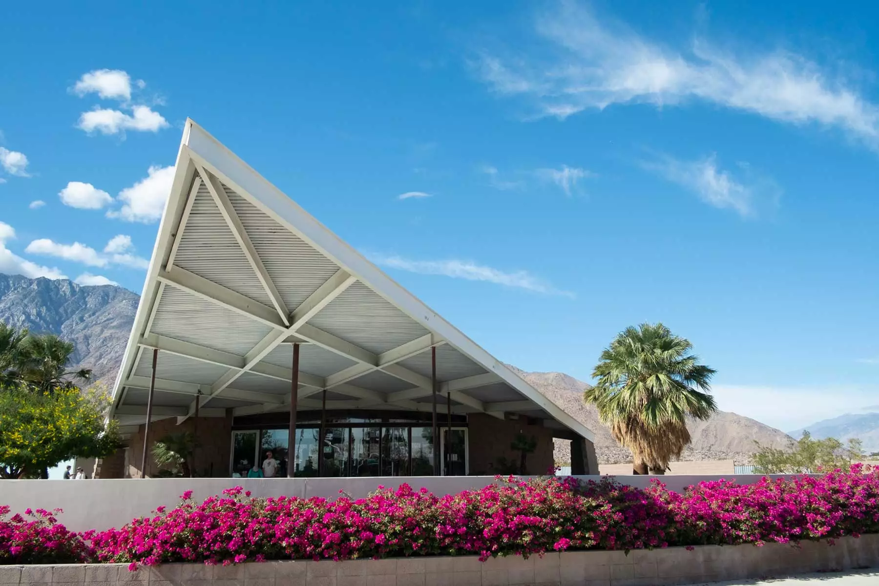 Centre d'accueil de Palm Springs avec le mont San Jacinto derrière et des fleurs roses en fleurs au premier plan