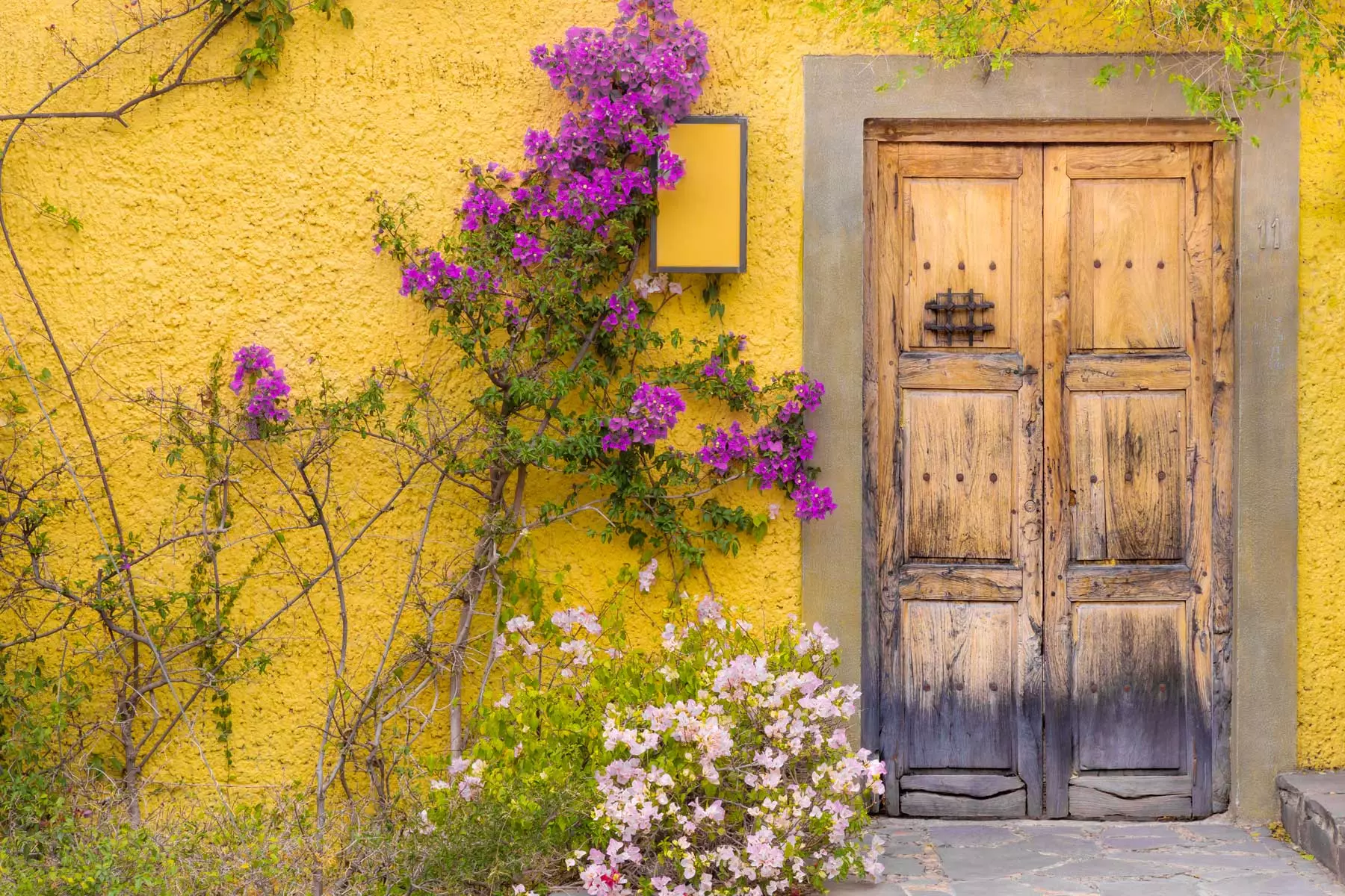 Tradicinės medinės durys įtaisytos geltonoje sienoje San Miguel de Allende mieste, Meksikoje