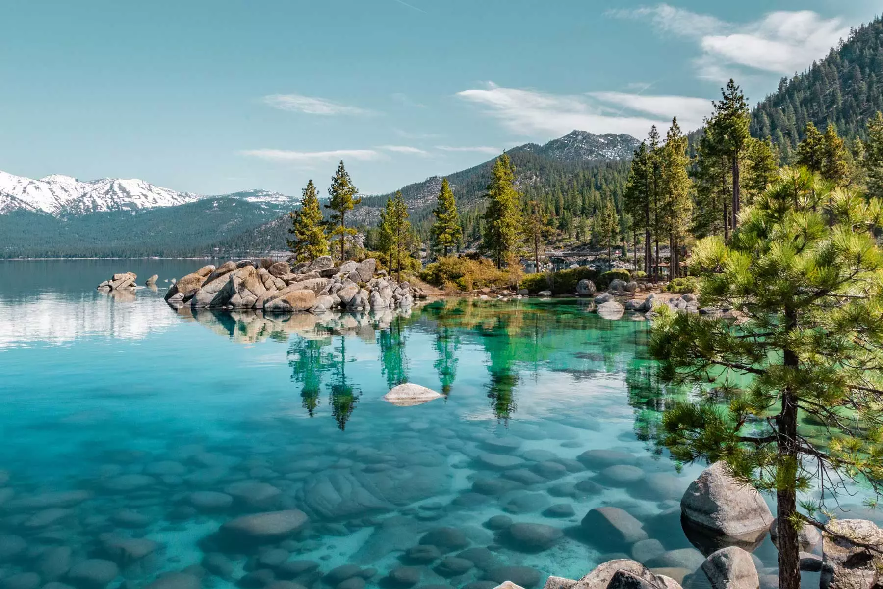 Klarblåt Lake Tahoe-vand med fyrretræer og sneklædte bjerge