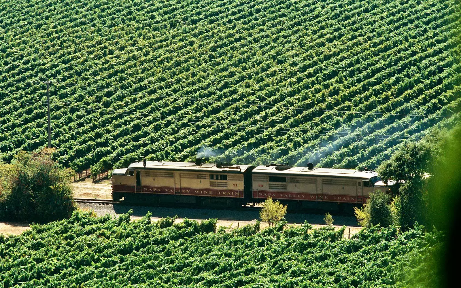 Napa Valley Waini Train