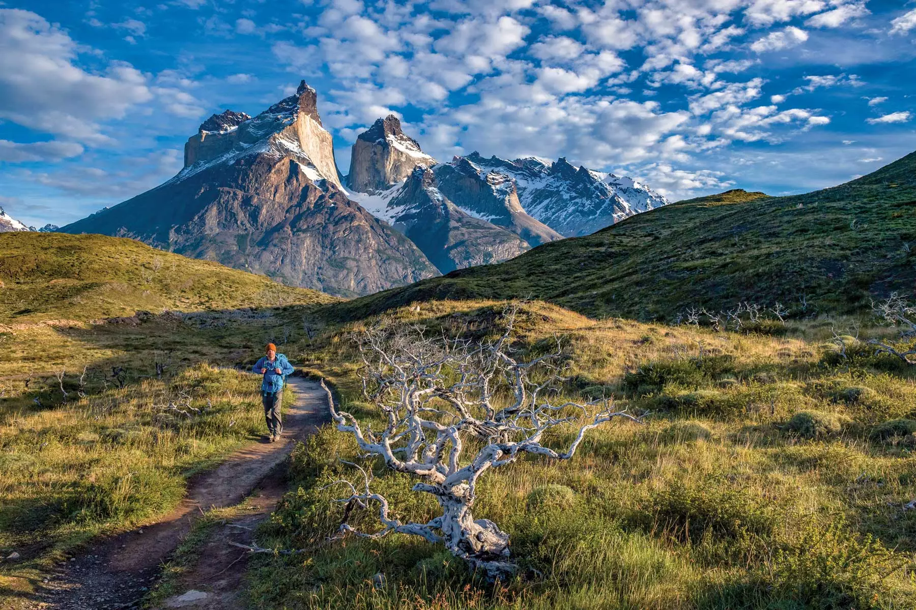 ການຍ່າງປ່າໃນ Patagonia ກັບ Wilderness Travel, ໄດ້ຮັບການໂຫວດໃຫ້ເປັນຫນຶ່ງໃນຜູ້ດໍາເນີນການທ່ອງທ່ຽວທີ່ດີທີ່ສຸດຂອງໂລກ