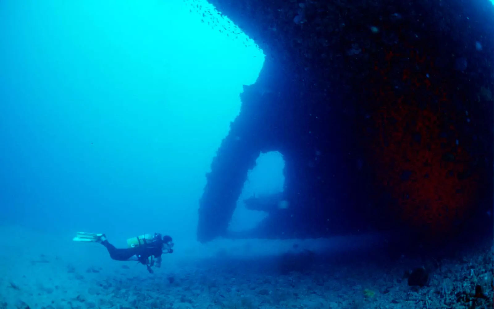 SS Yongala laivo avarija