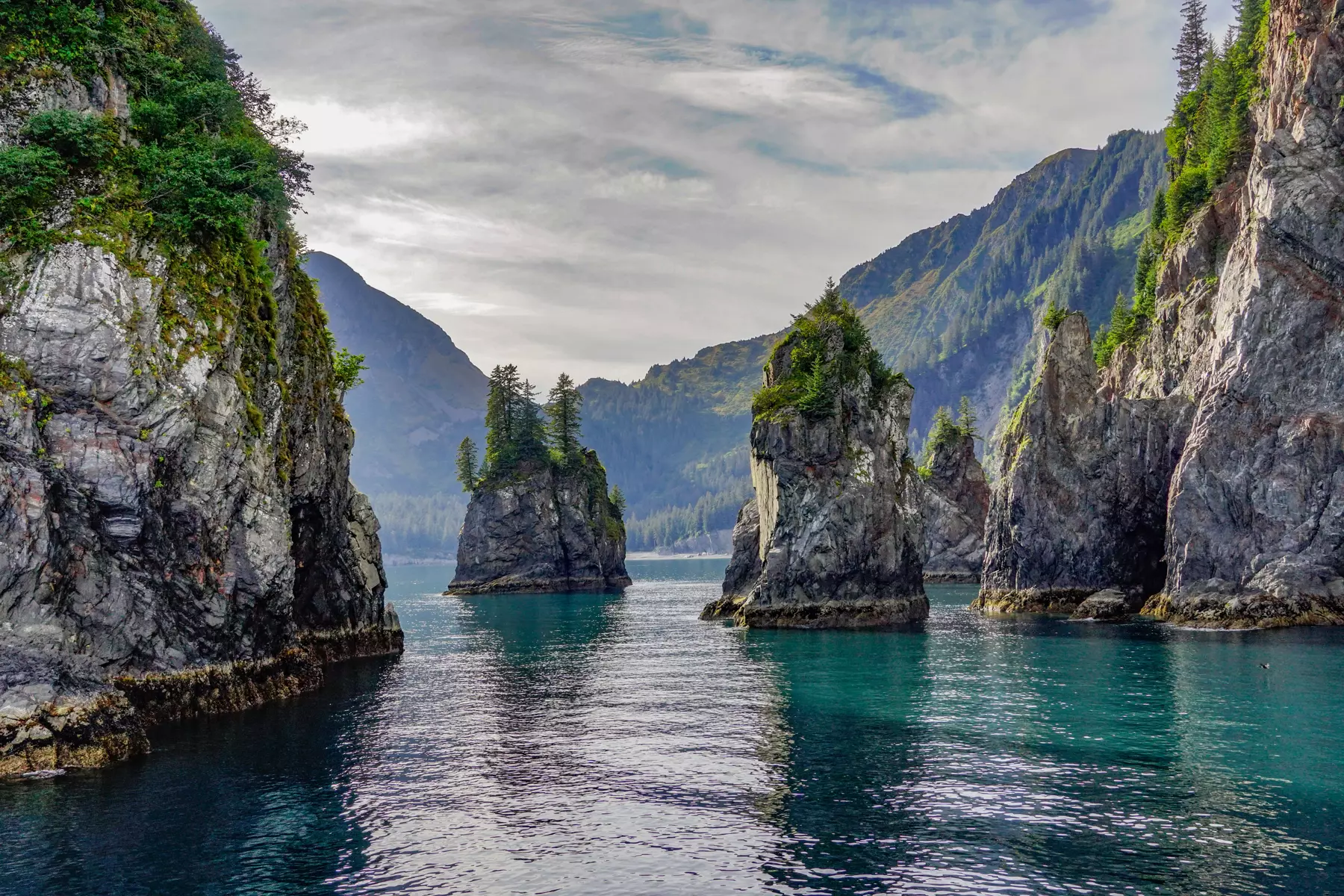 Formațiuni stâncoase și apele turcoaz din Spire Cove din Parcul Național Kenai Fjords. Seward, Alaska