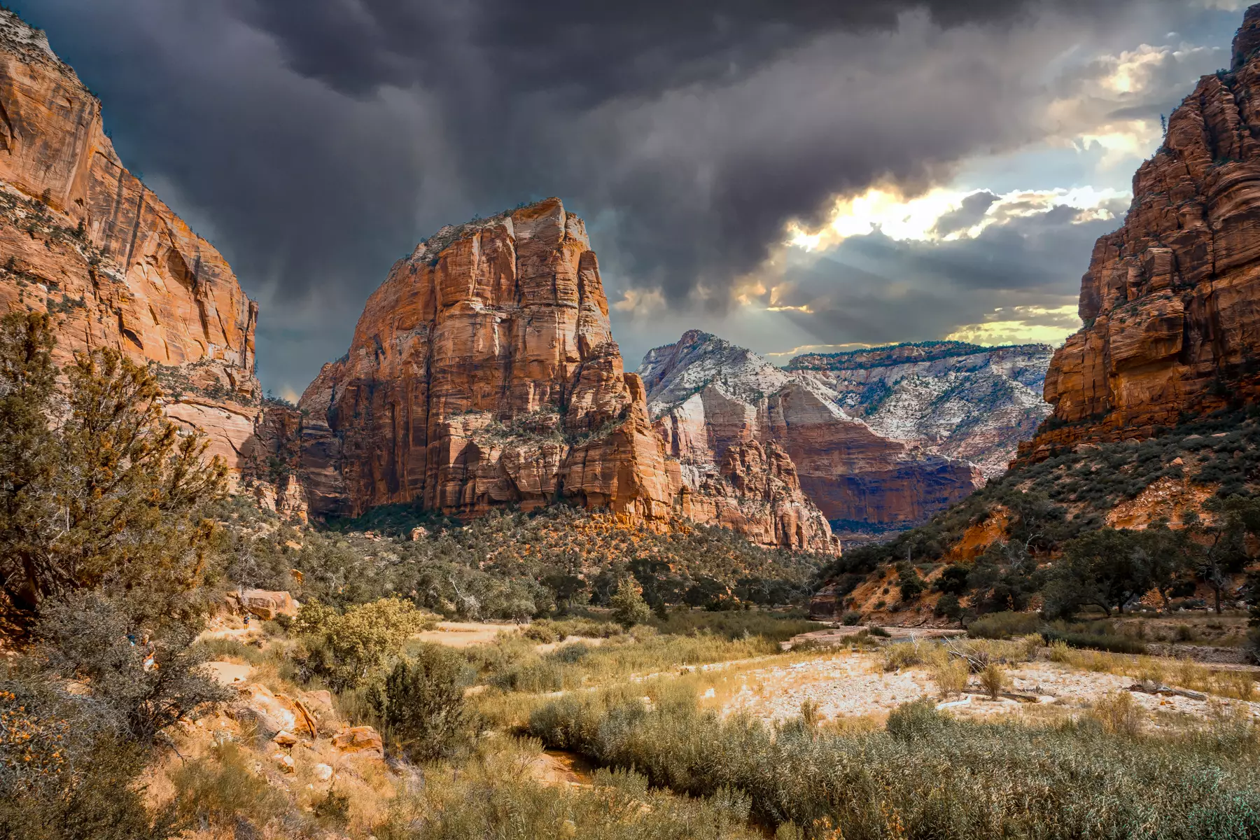 Frumosul munte care urcă pe traseul Angels Landing Trail în Parcul Național Zion