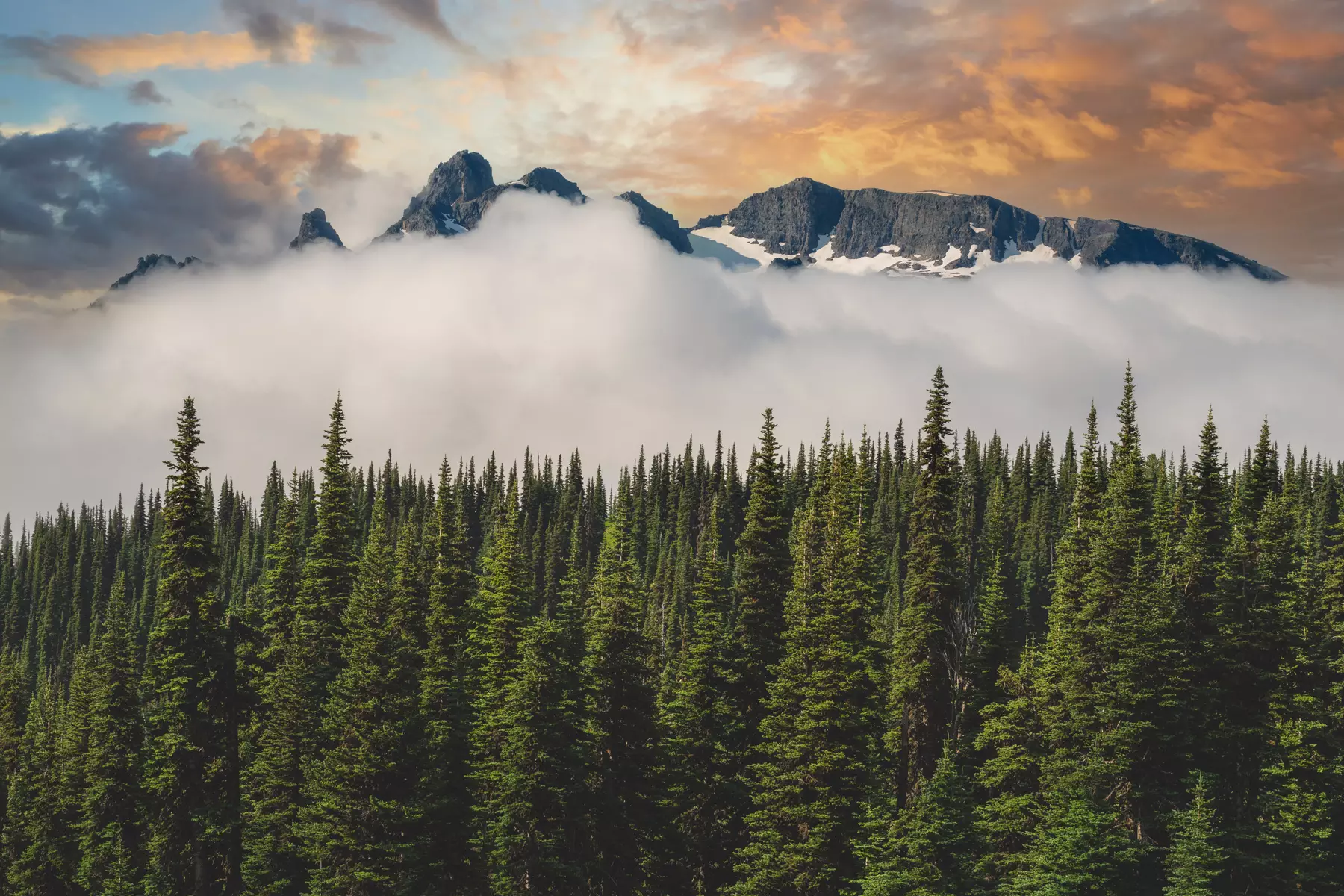 Parcul Național Mt Rainier este spectaculos de văzut dimineața devreme, cu o mulțime de inversiuni de nori. Statul washington.