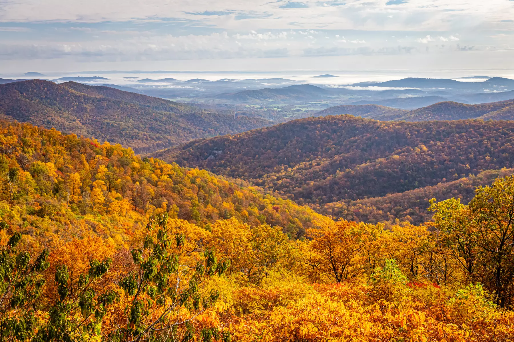 Vista do Shenandoah National Park e das Blue Ridge Mountains do famoso Skyline Drive Buck Hollow Overlook do parque.