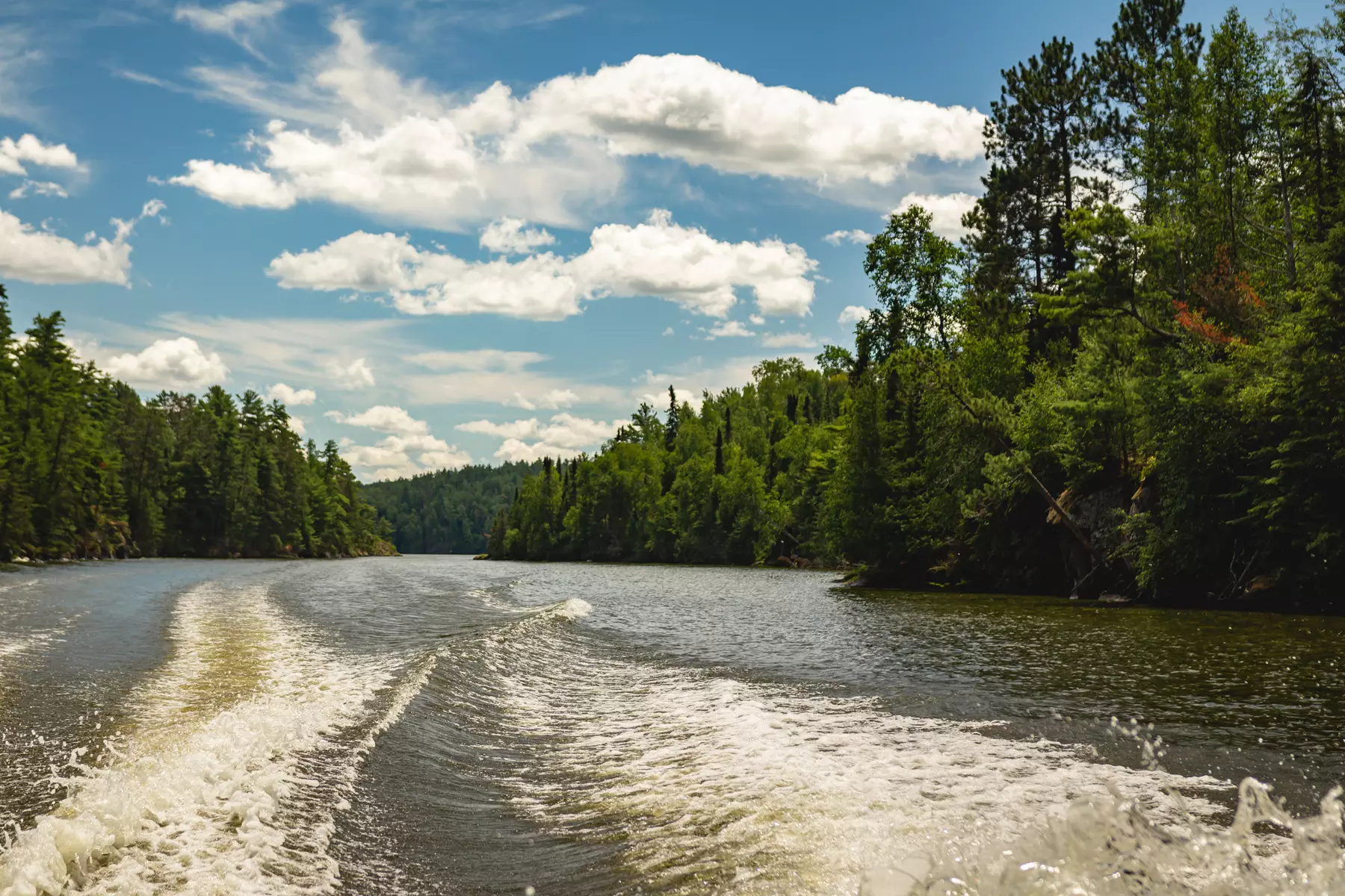 Minnesota ştatynyň Woyageurs milli seýilgähinde Kabetogama kölüniň kenary