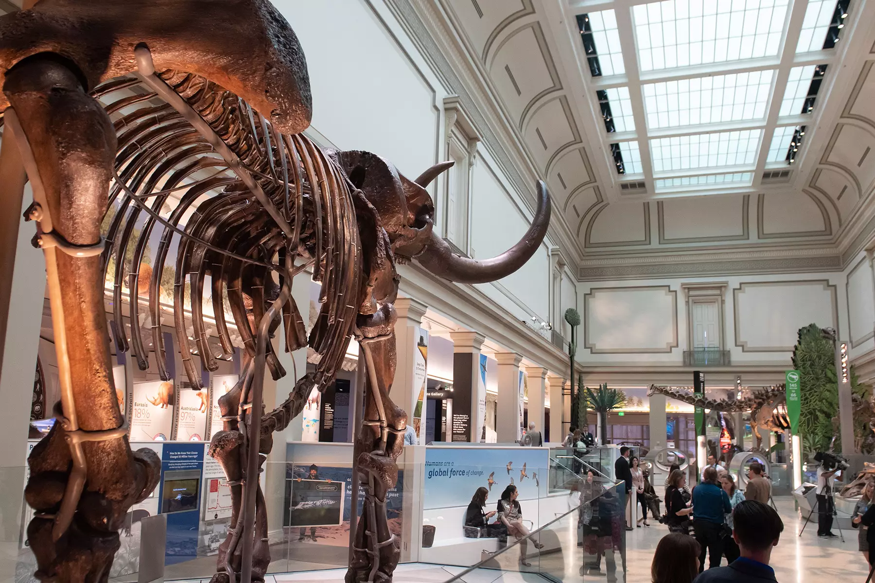 Pessoas visitam o National Fossil Hall no Museu Nacional de História Natural do Smithsonian em Washington, DC,
