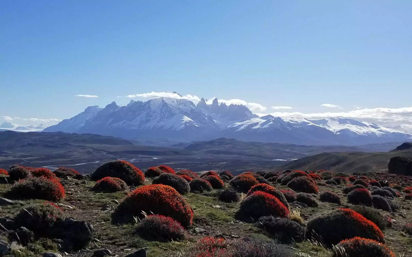 Gids foar Patagonia Experience