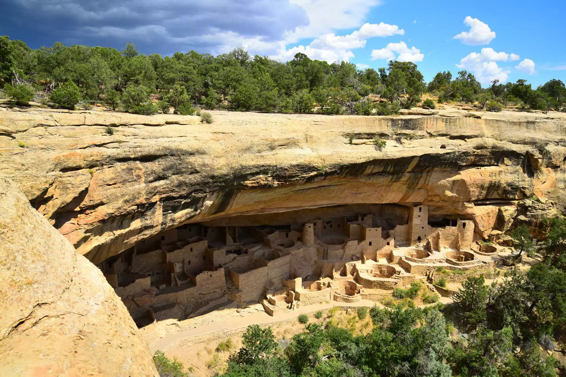 Cliff Palace sést frá slóðinni sem nálgast staðinn í Mesa Verde þjóðgarðinum, Colorado