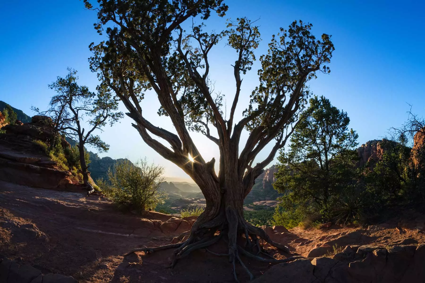 Arizona၊ Sedona ရှိ Merry Go Round Rock မှ လှပသော နေဝင်ချိန်။