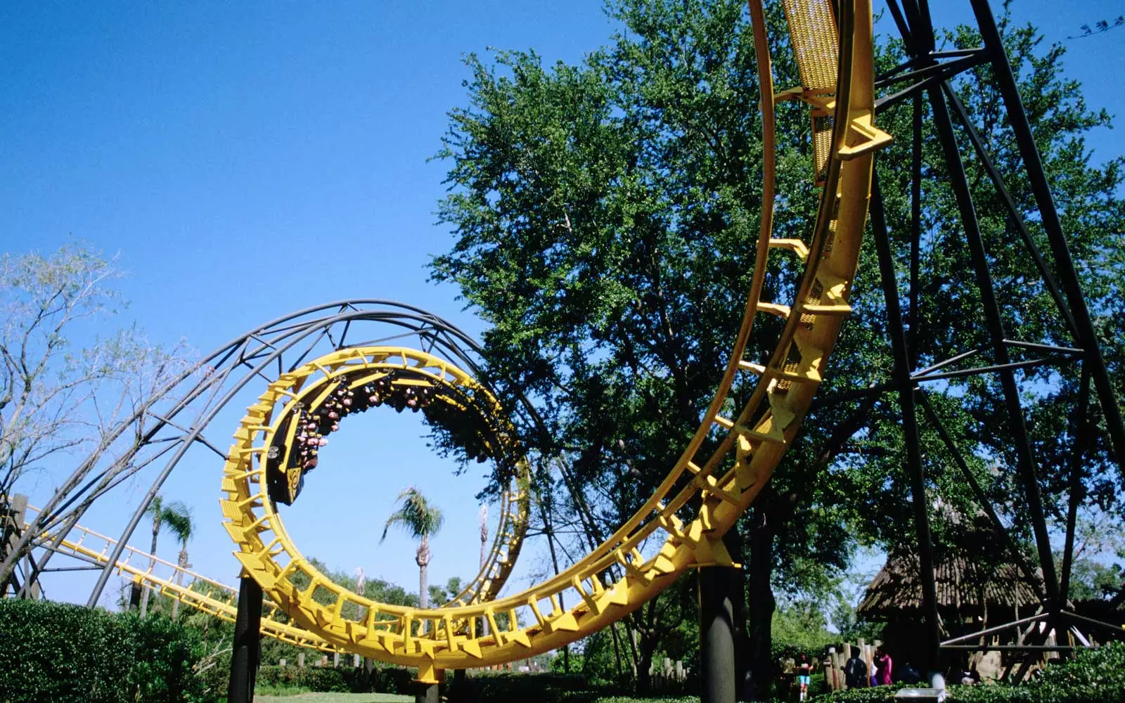 'n Spiraalvormige geel achtbaan gee ruiters 'n opwinding by Busch Gardens pret- en wildpark in Tampa, Florida