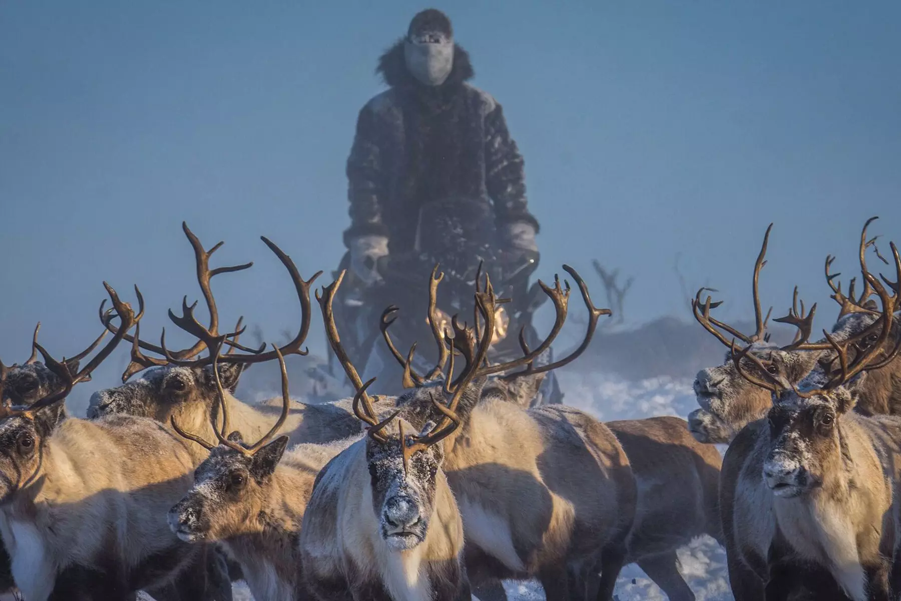 Tundra North Tours, Inuvik NT