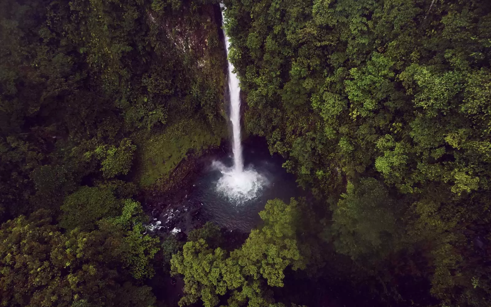 Air terjun di Kosta Rika, dikelilingi oleh hutan hujan