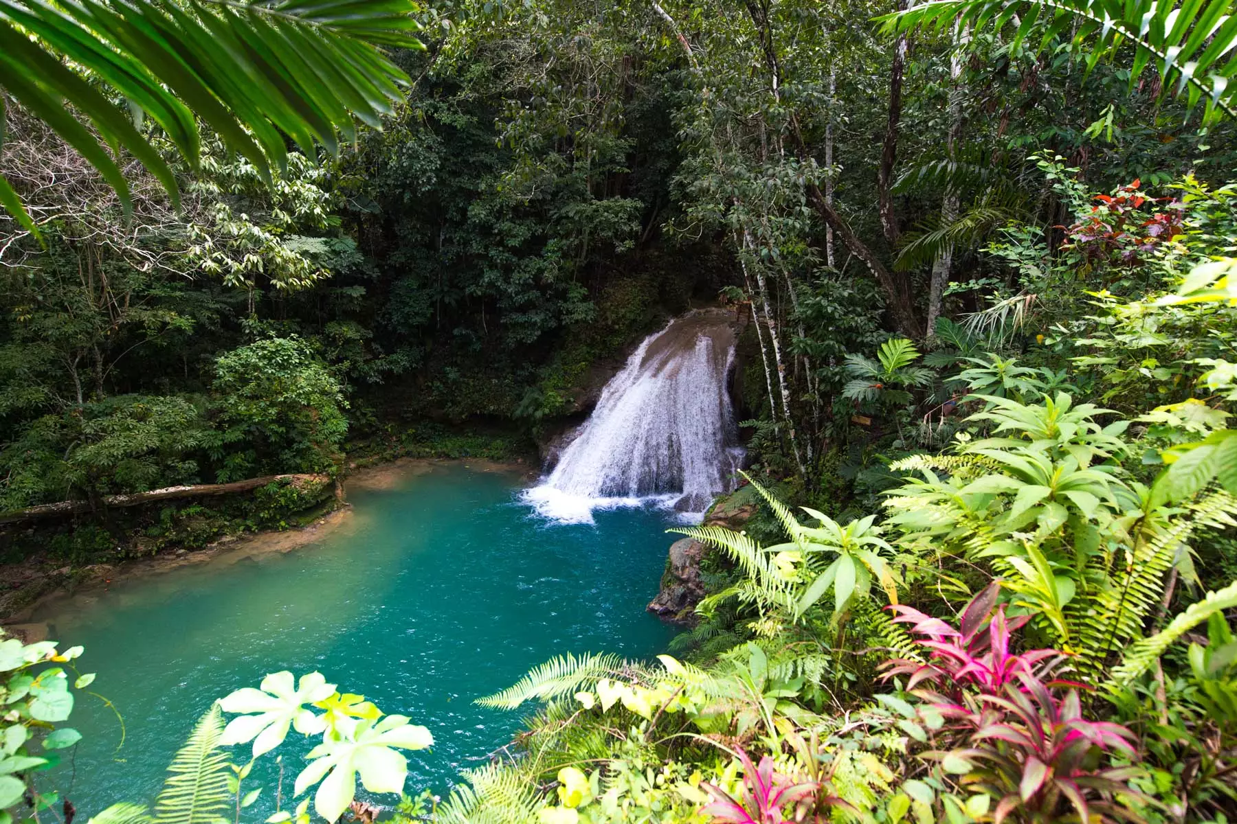 ទឹកធ្លាក់នៅ Blue Hole ប្រទេសហ្សាម៉ាអ៊ីក