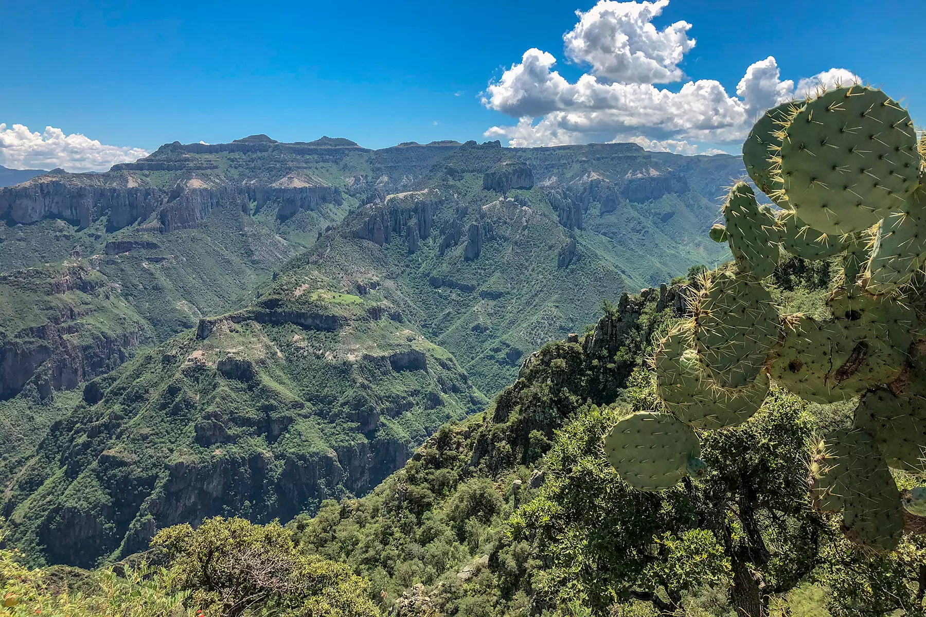 Dyma'r Copr Canyon o ardal Divisadero yn Chihuahua