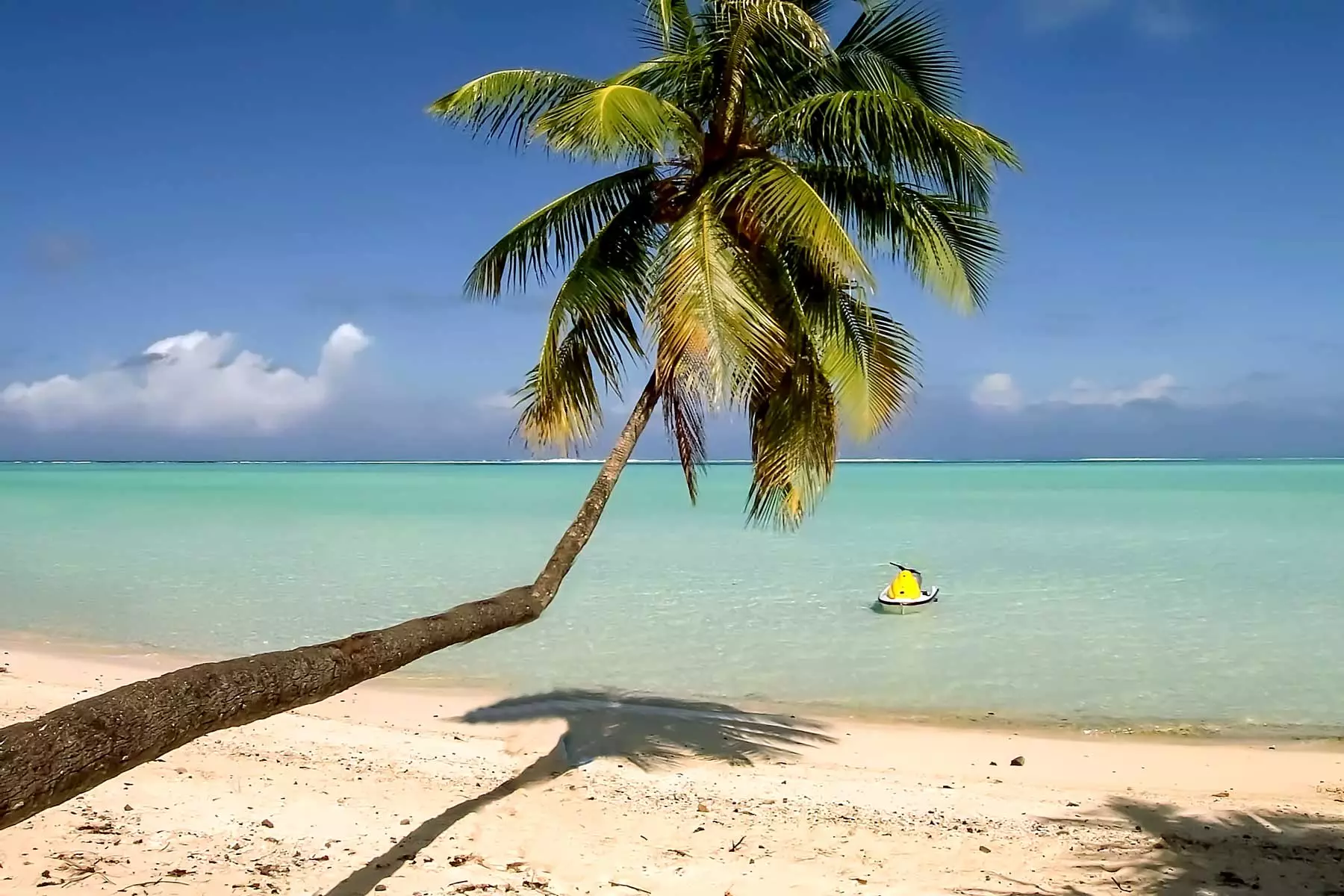 Ohnutá palma na pláži Matira, Bora Bora.