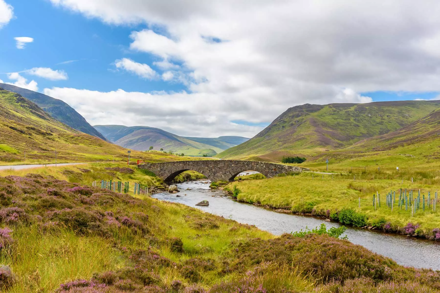 Nyáron kilátás nyílik a skóciai Cairngorms Nemzeti Park gyönyörű természetére.