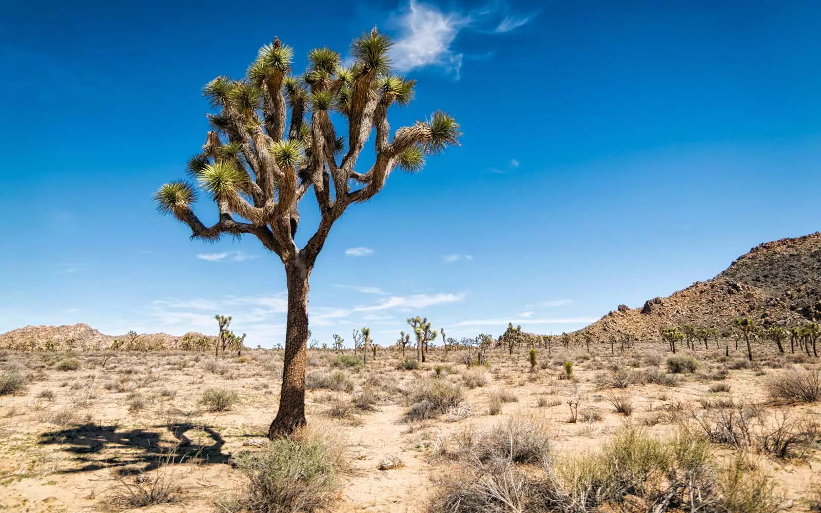 Na Páirceanna Náisiúnta is Fearr i gCalifornia