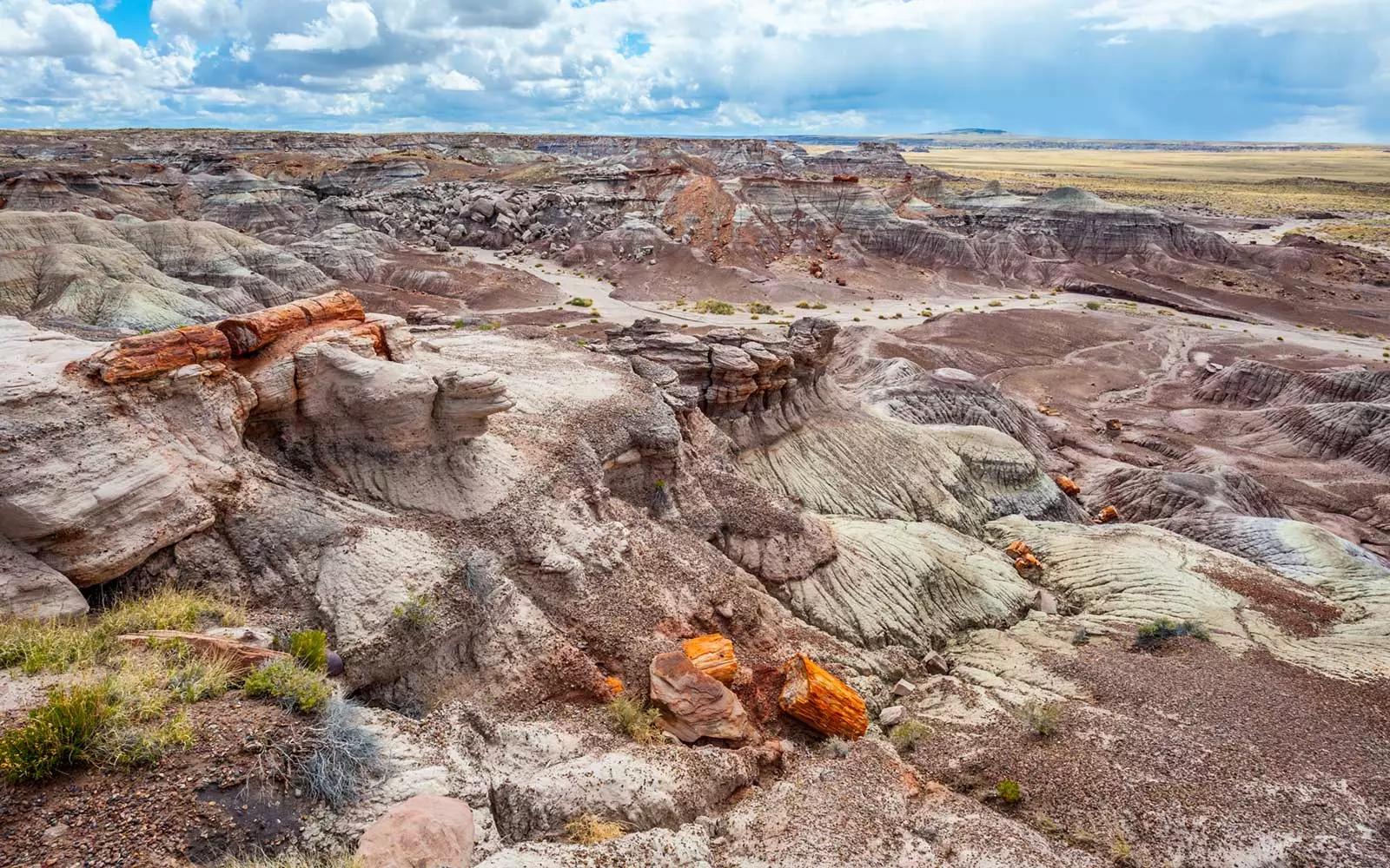 Nationaal park Petrified Forest, Arizona