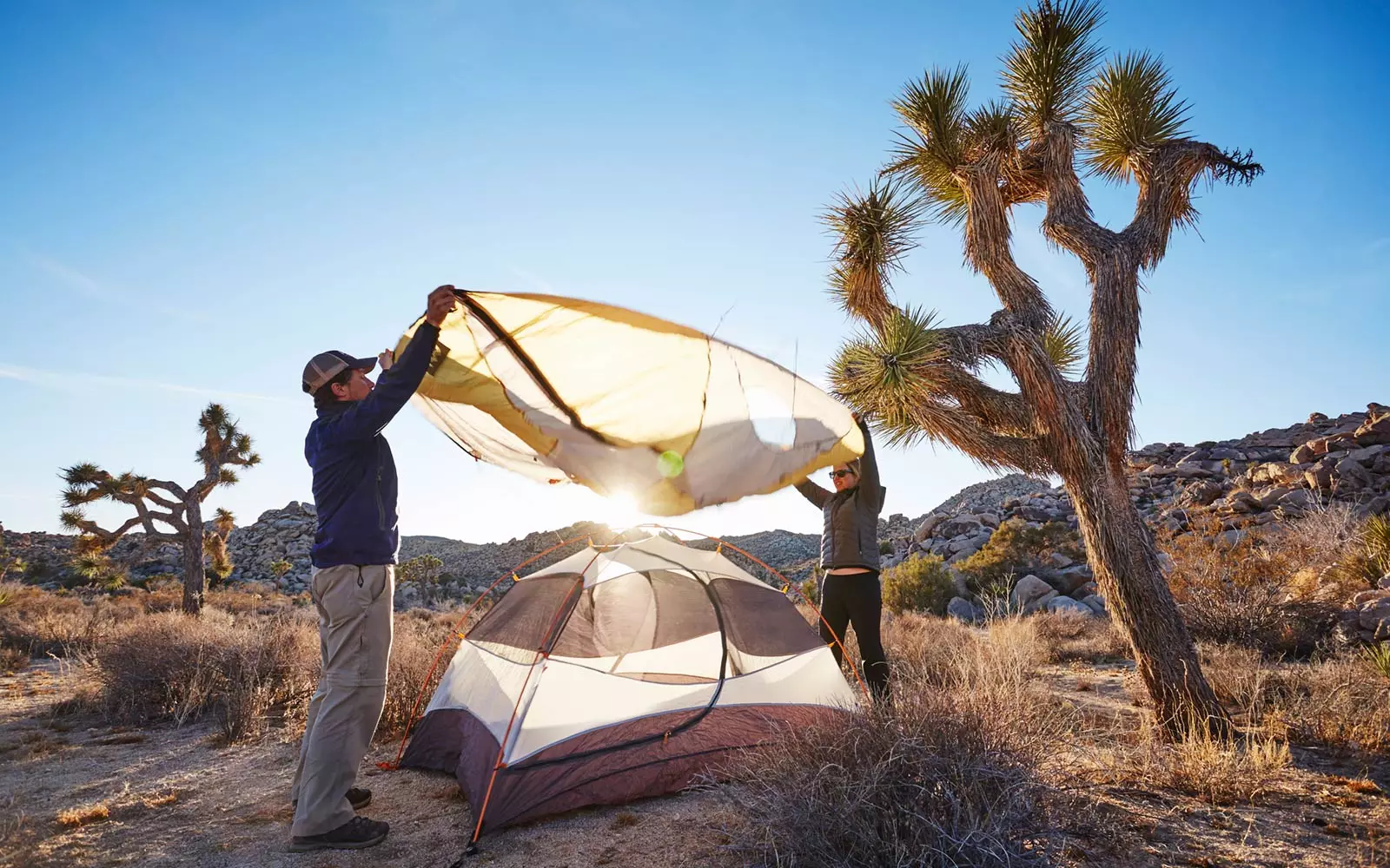 Parc Cenedlaethol Joshua Tree, California