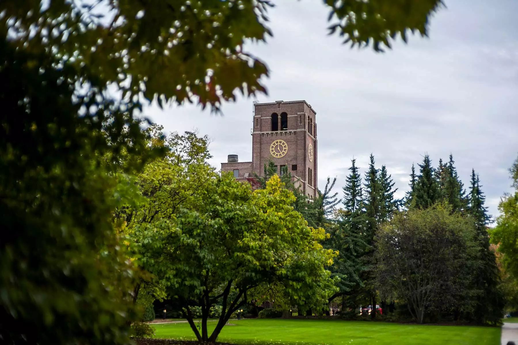 Egy toronyóra építészet emelkedik a fák fölé Kohlerben, Wisconsinban.