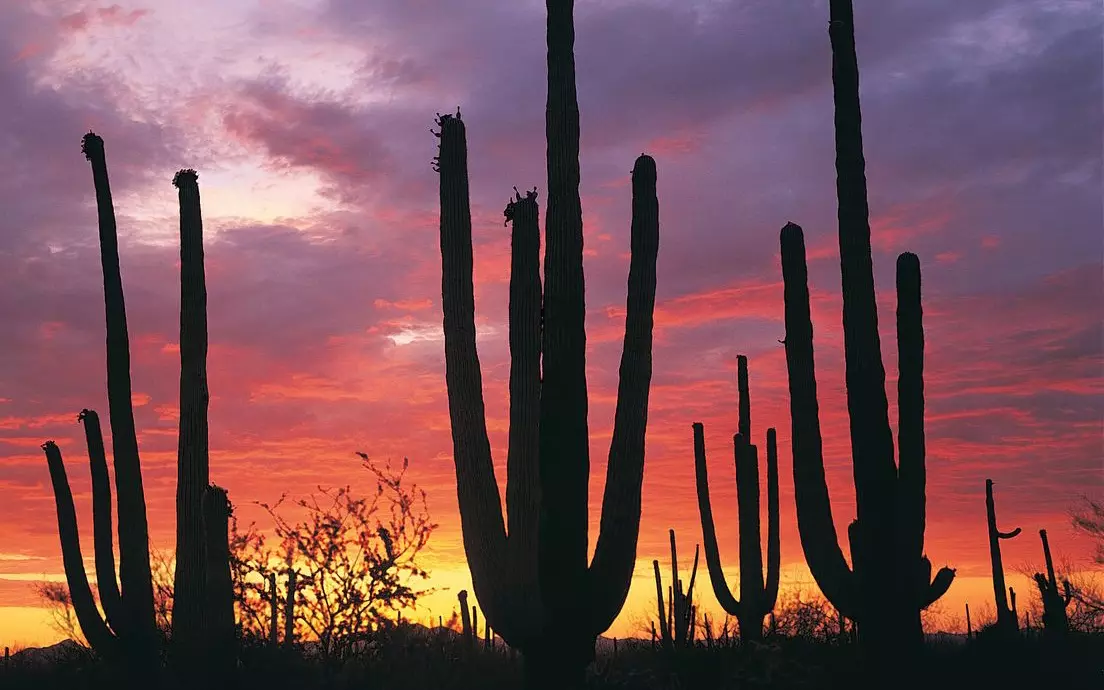Západ slnka v Tucsone, Arizona