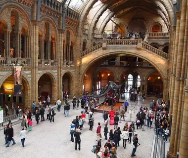 Visiteuren am Natural History Museum zu London, England