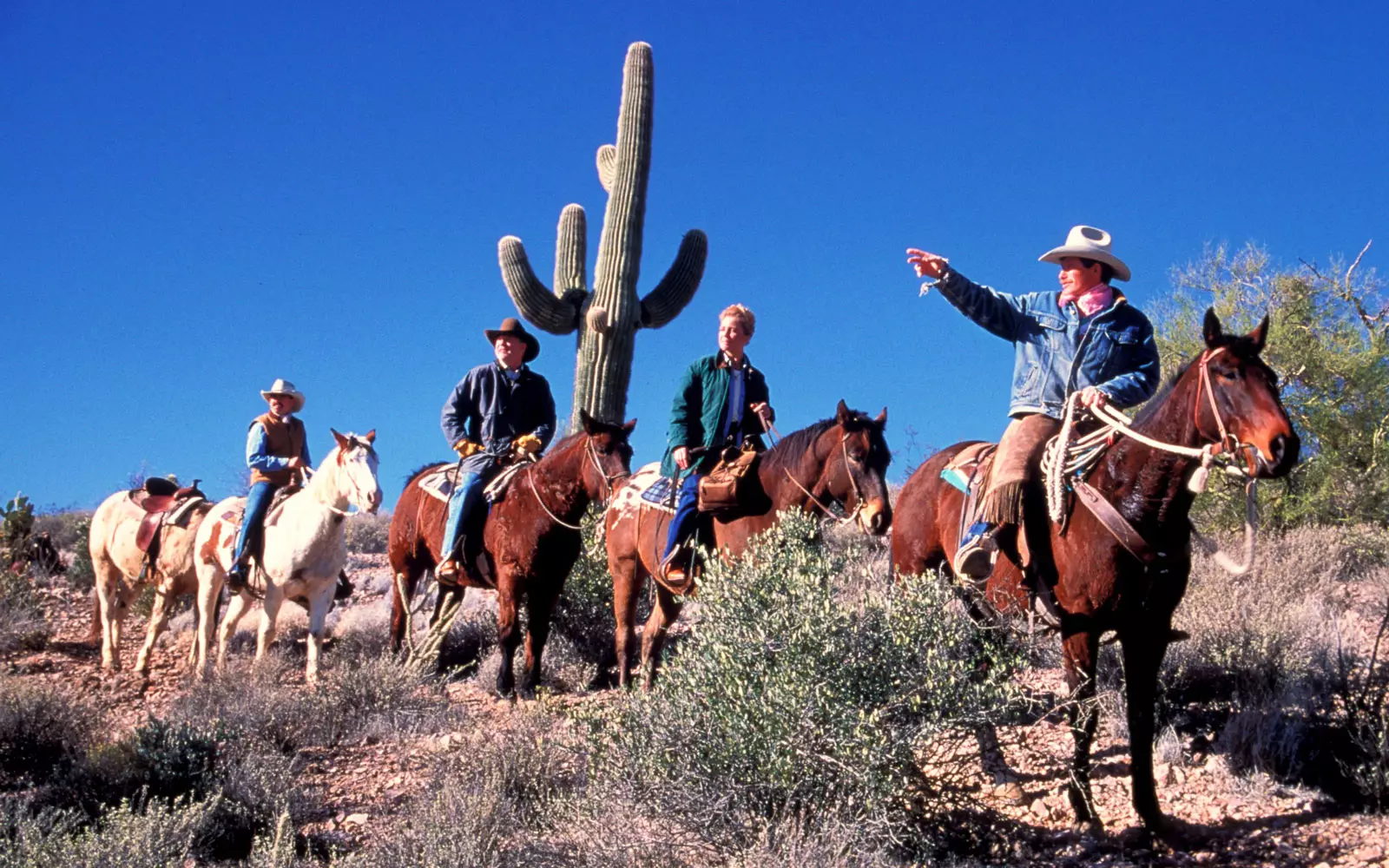 Arizona ştatynyň Rancho de los Caballerosda at münmek