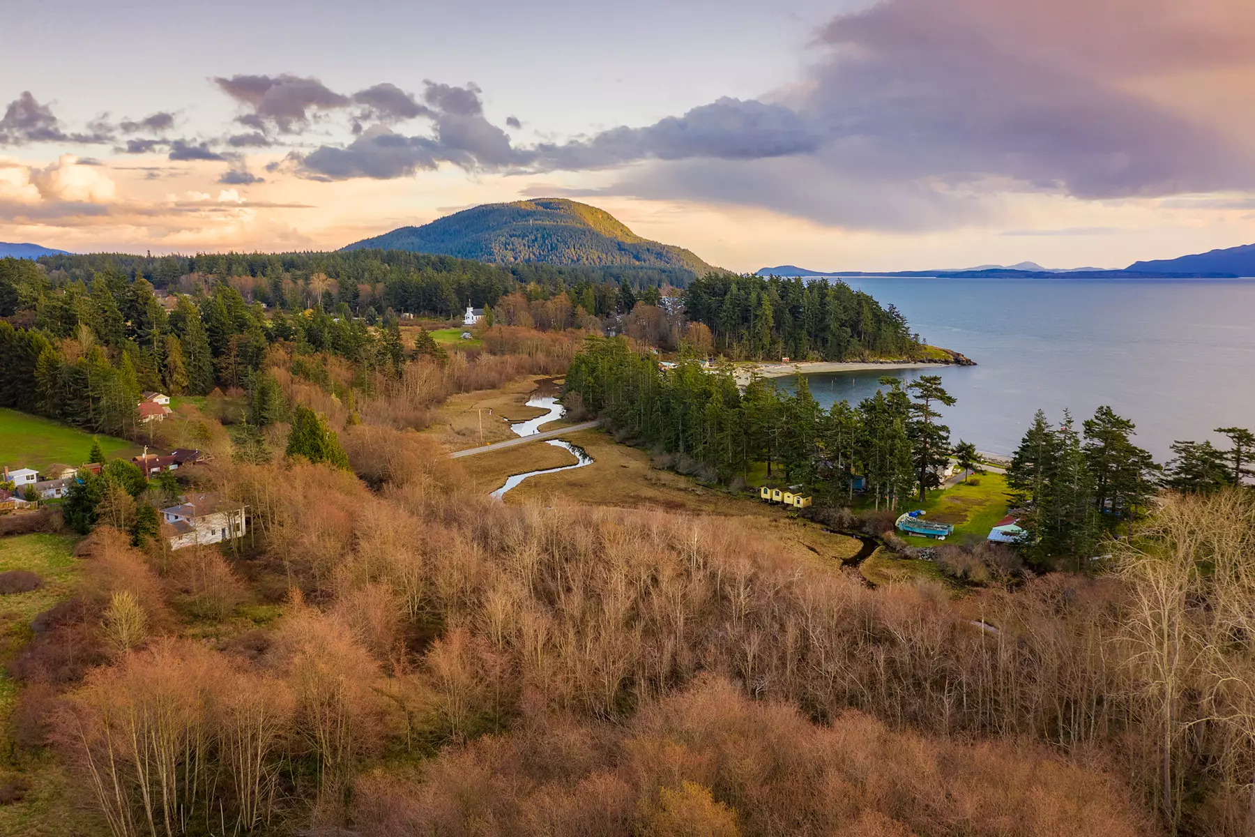 Slough delle zone umide sull'isola di Lummi, Washington.