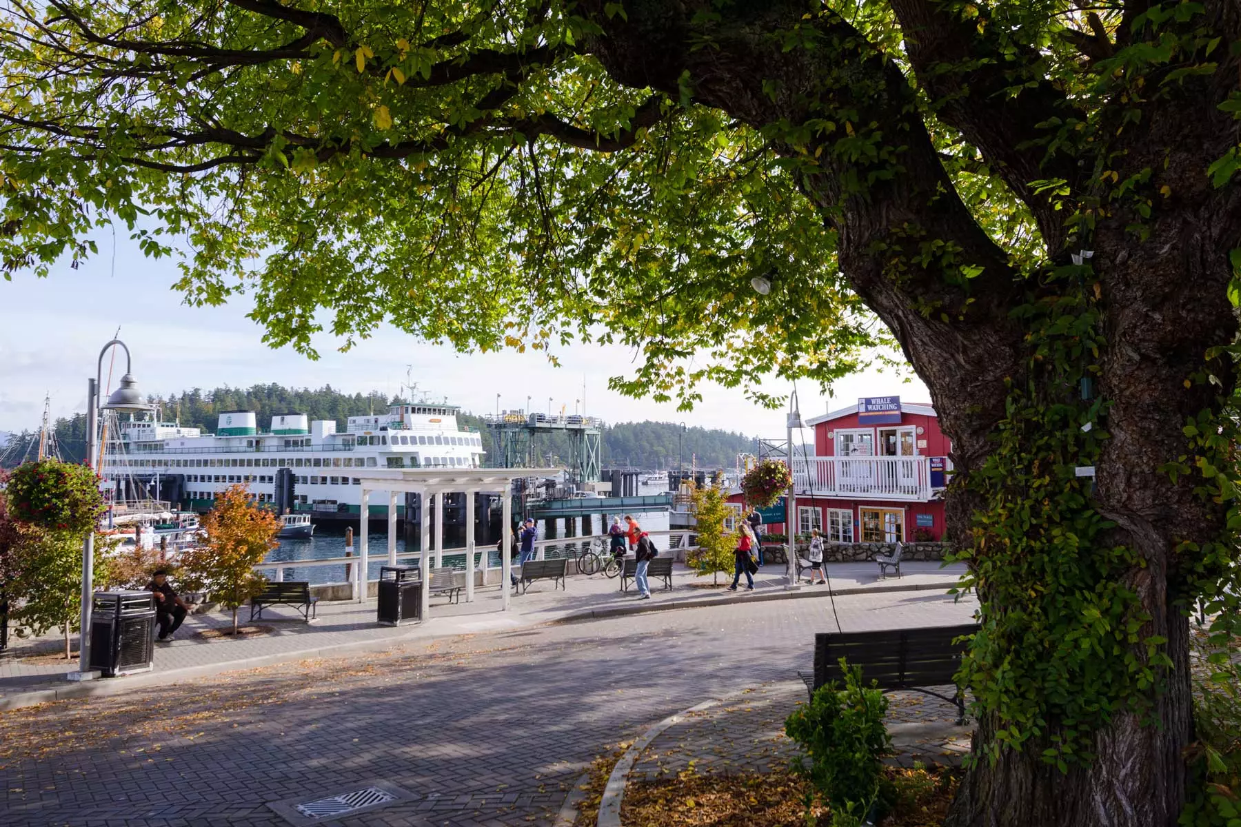 Front Street met veerboot bij terminal in Friday Harbor, WA