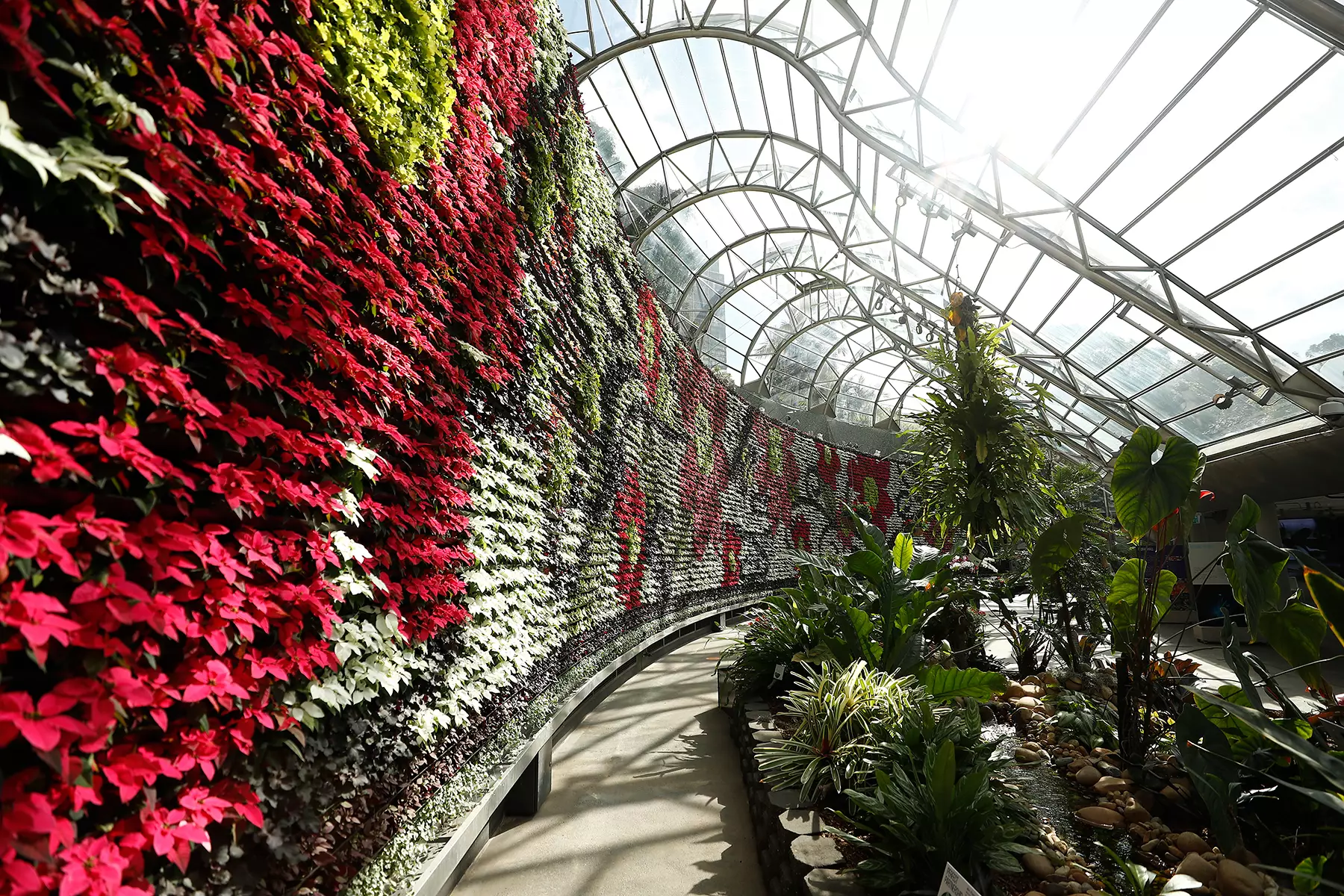 Une vue générale d'InBloom au Calyx des Jardins botaniques royaux