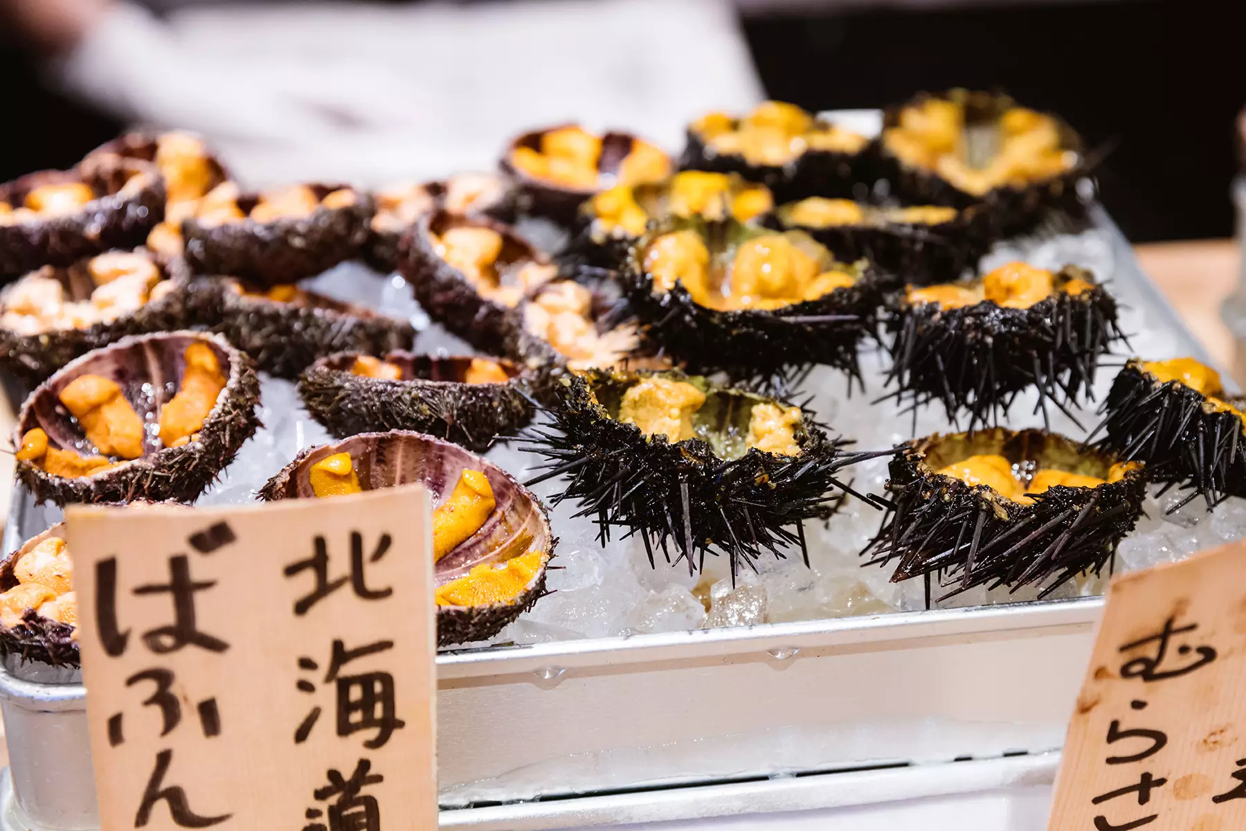 Tengeri sünök a Tsukiji halpiacon, Tokióban, Japánban