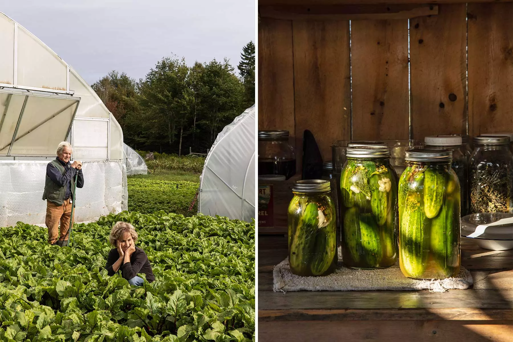 Awọn fọto meji lati awọn oko ni Maine, pẹlu awọn oniwun ti Farm Akoko Mẹrin, ati pickles ni Smithereen Farm